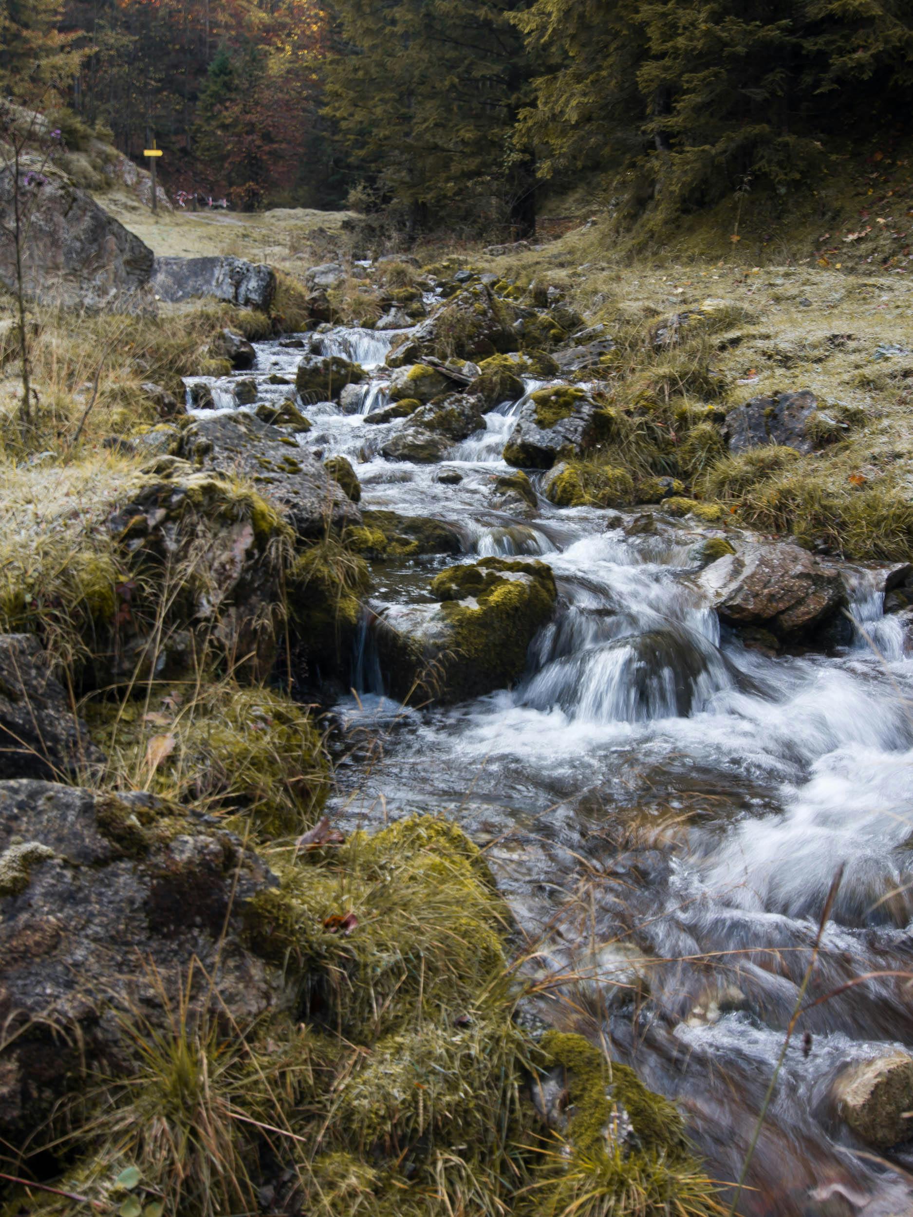 Running Streams Photos, Download The BEST Free Running Streams Stock ...