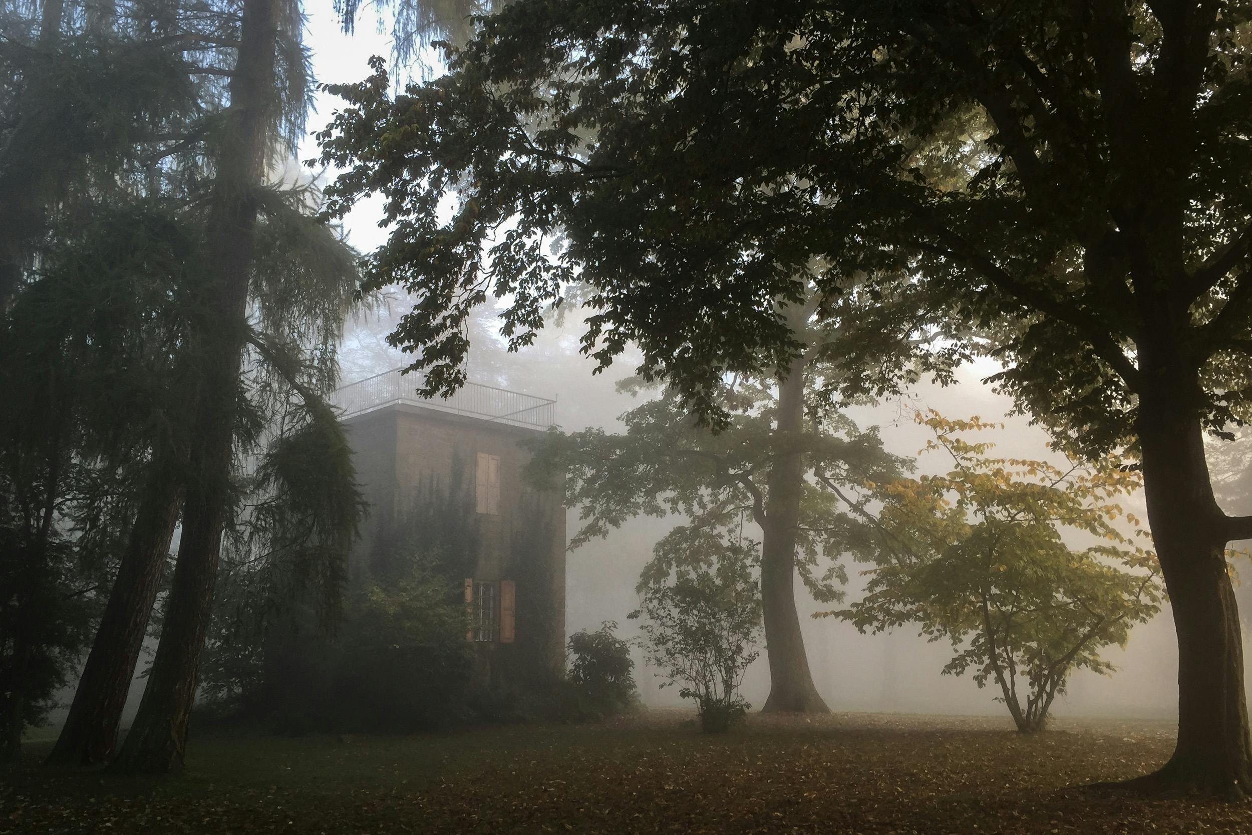 House in Park and Trees in Mist · Free Stock Photo