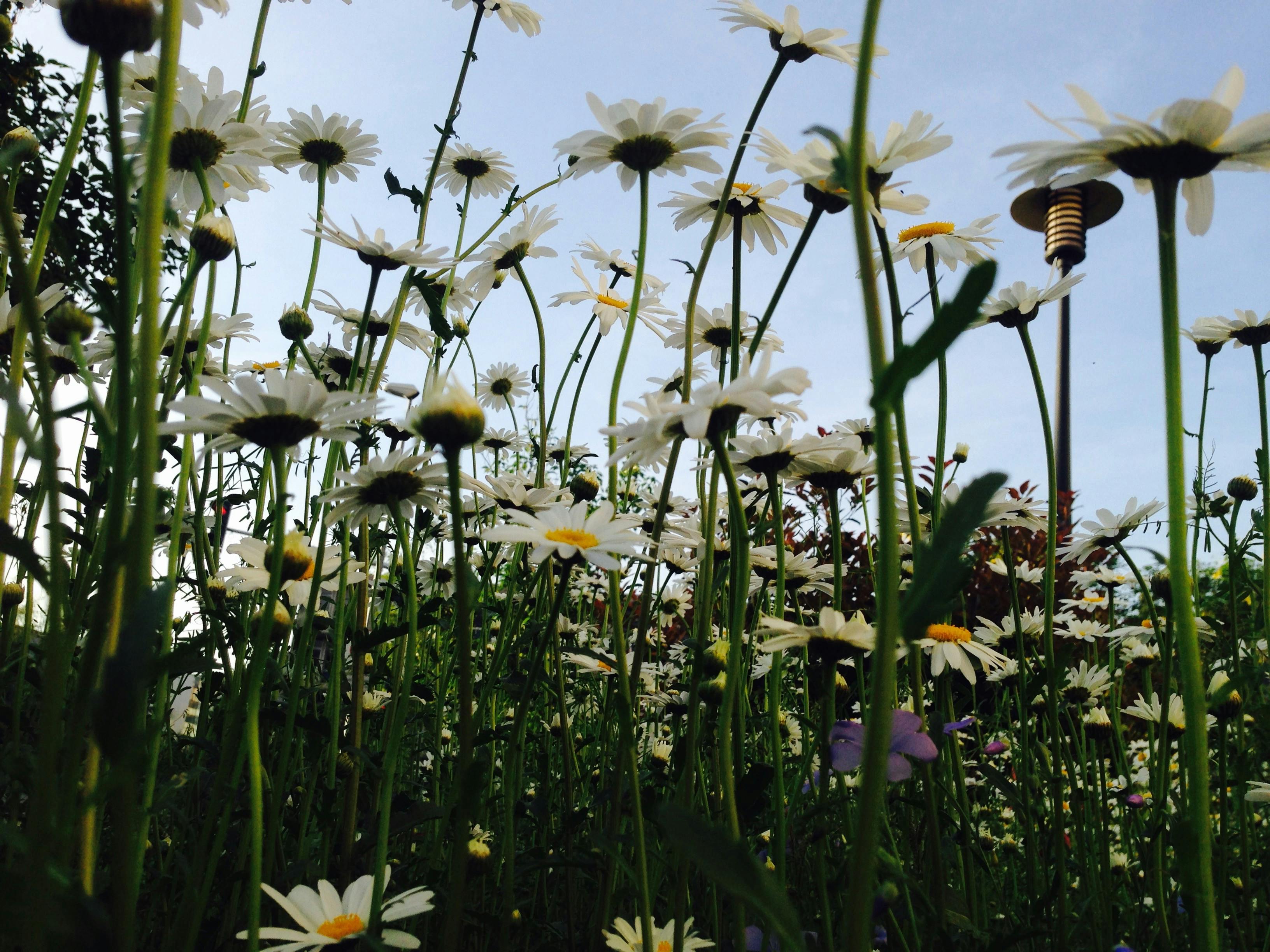 Wu Jiarong - Photography