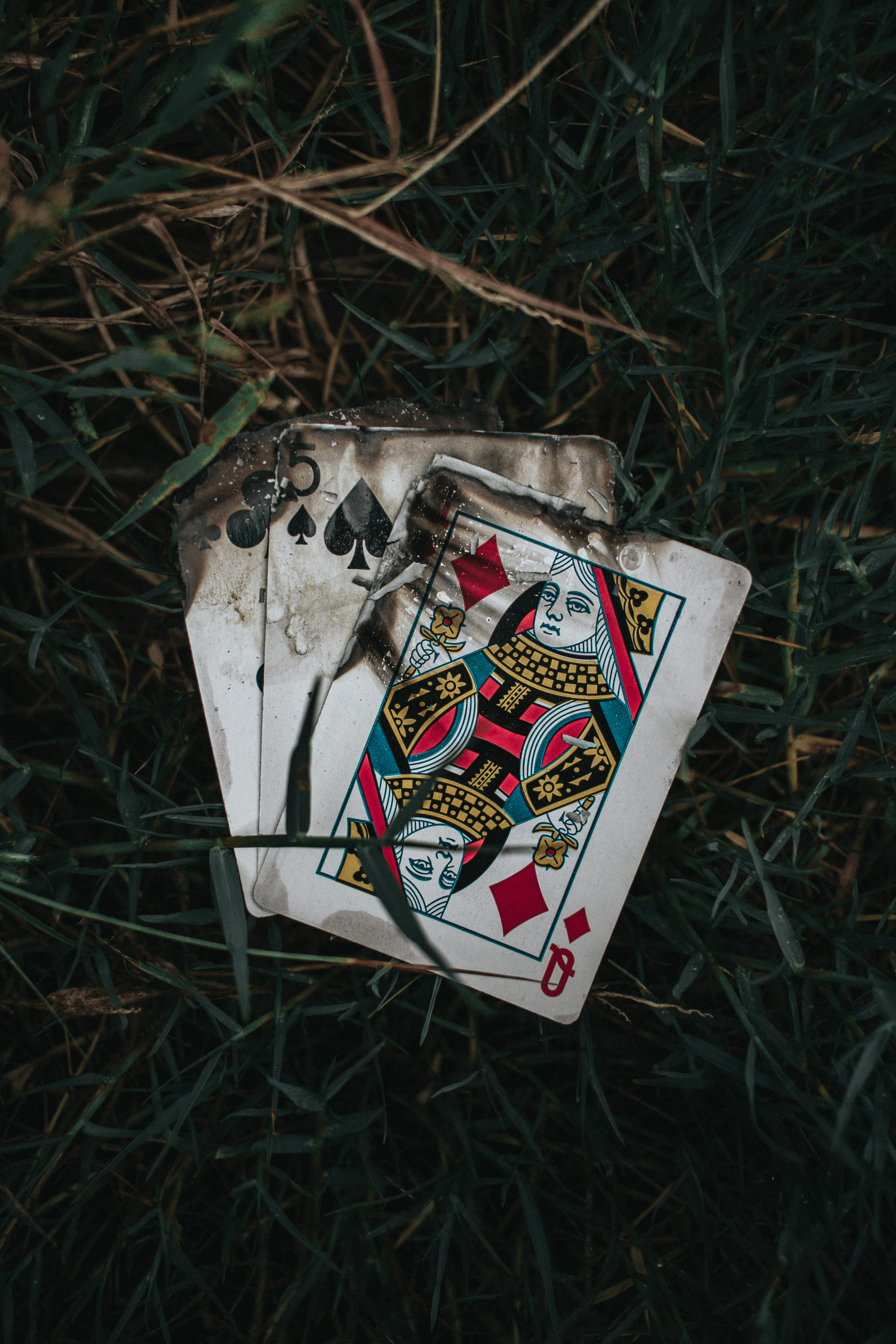 Burnt Playing Cards on Green and Brown Grass · Free Stock Photo