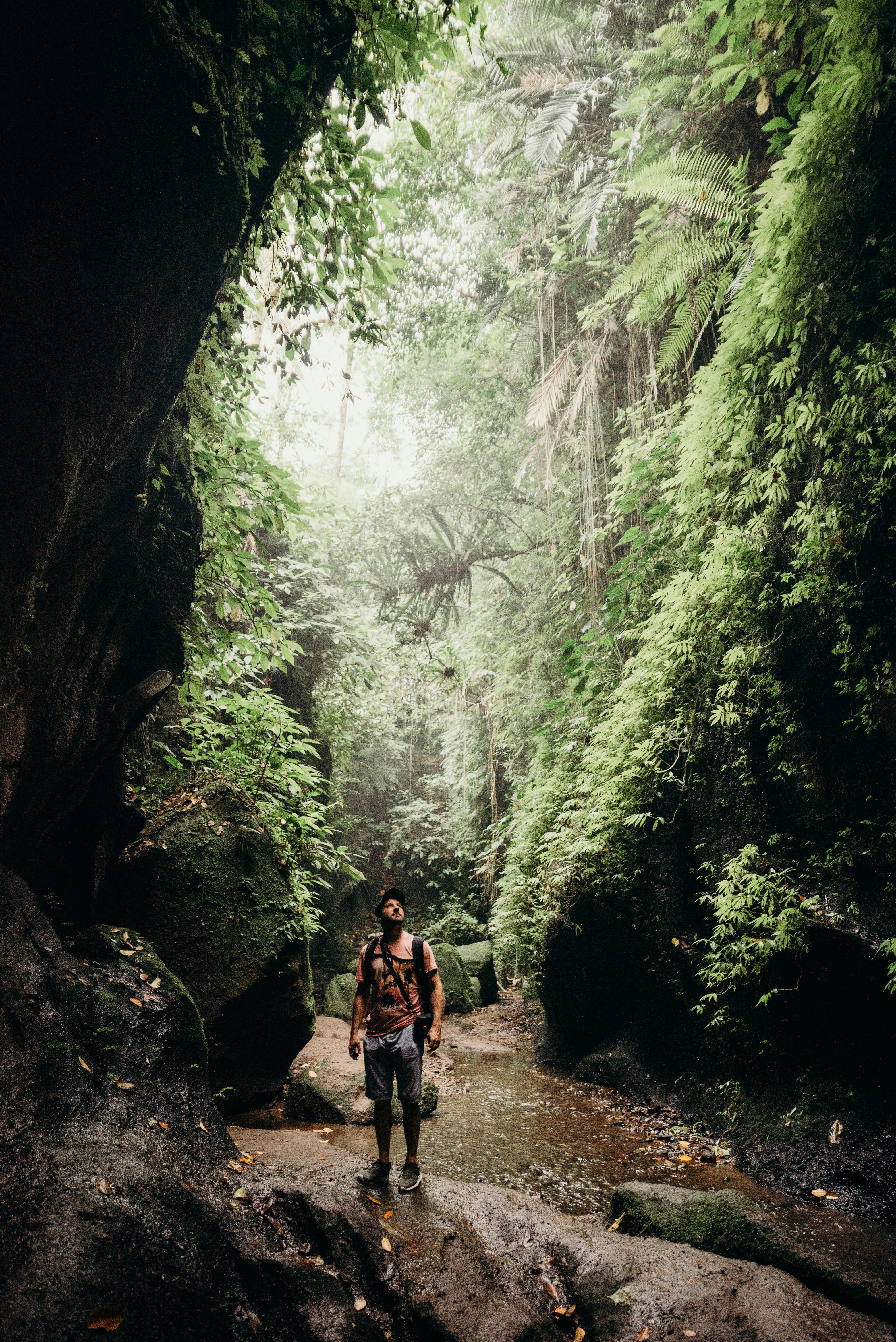 A Man Standing on a Rock in the Middle of a Forest · Free Stock Photo