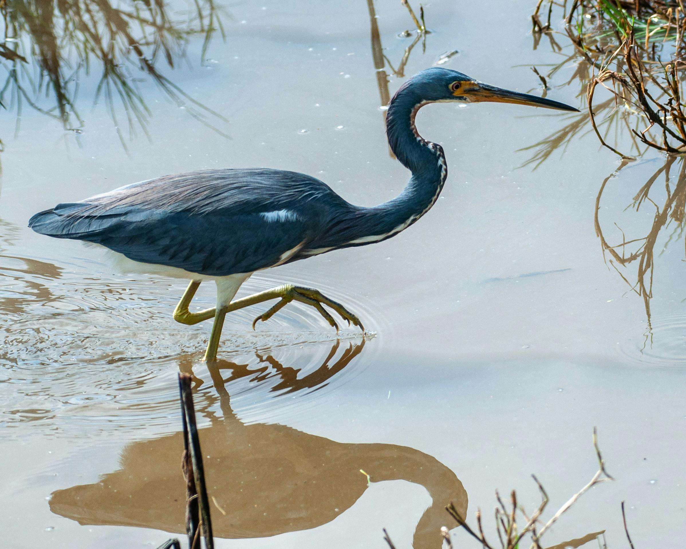 Richard Loya - Photographie