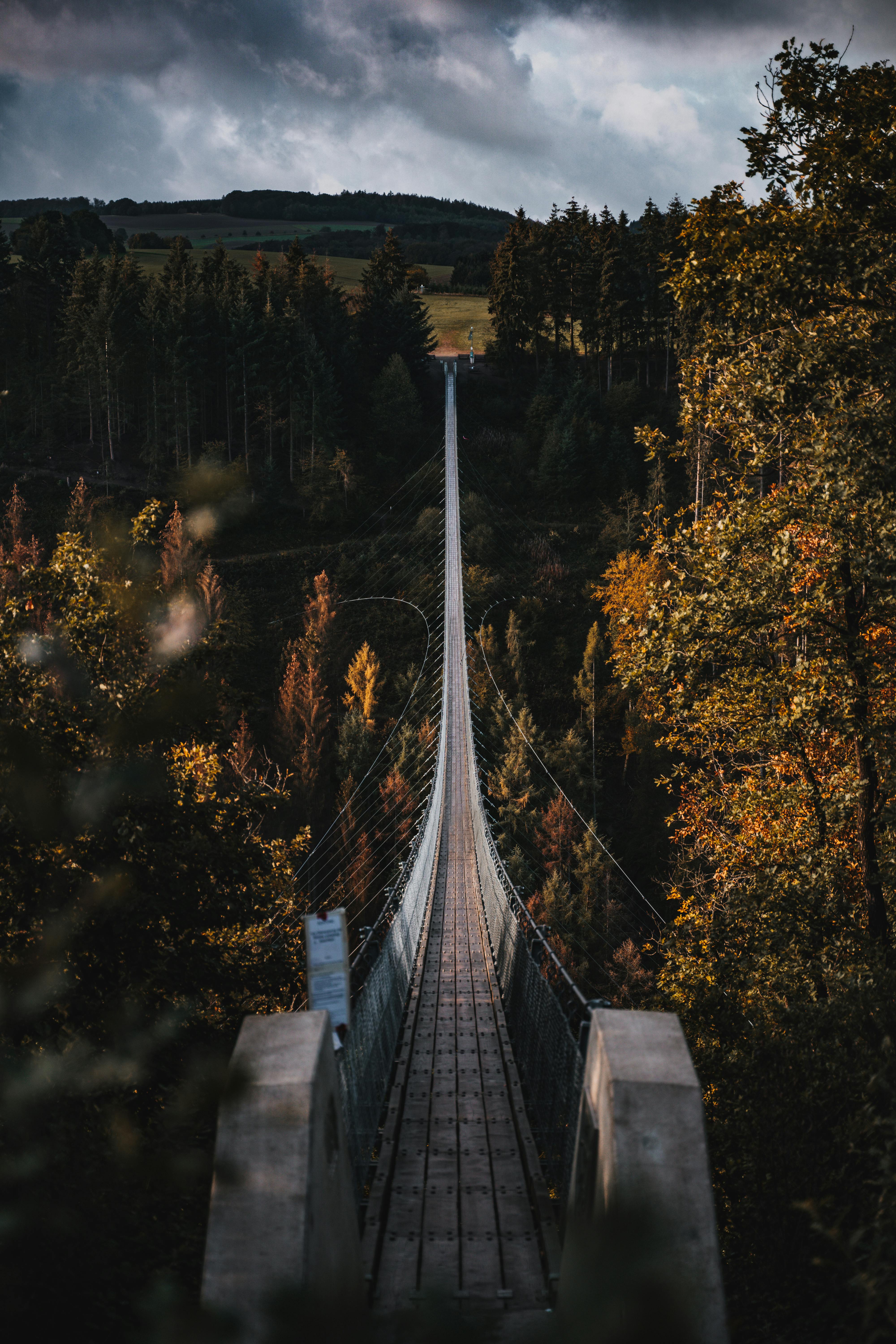 Brown Wooden Bridge over Green Trees · Free Stock Photo