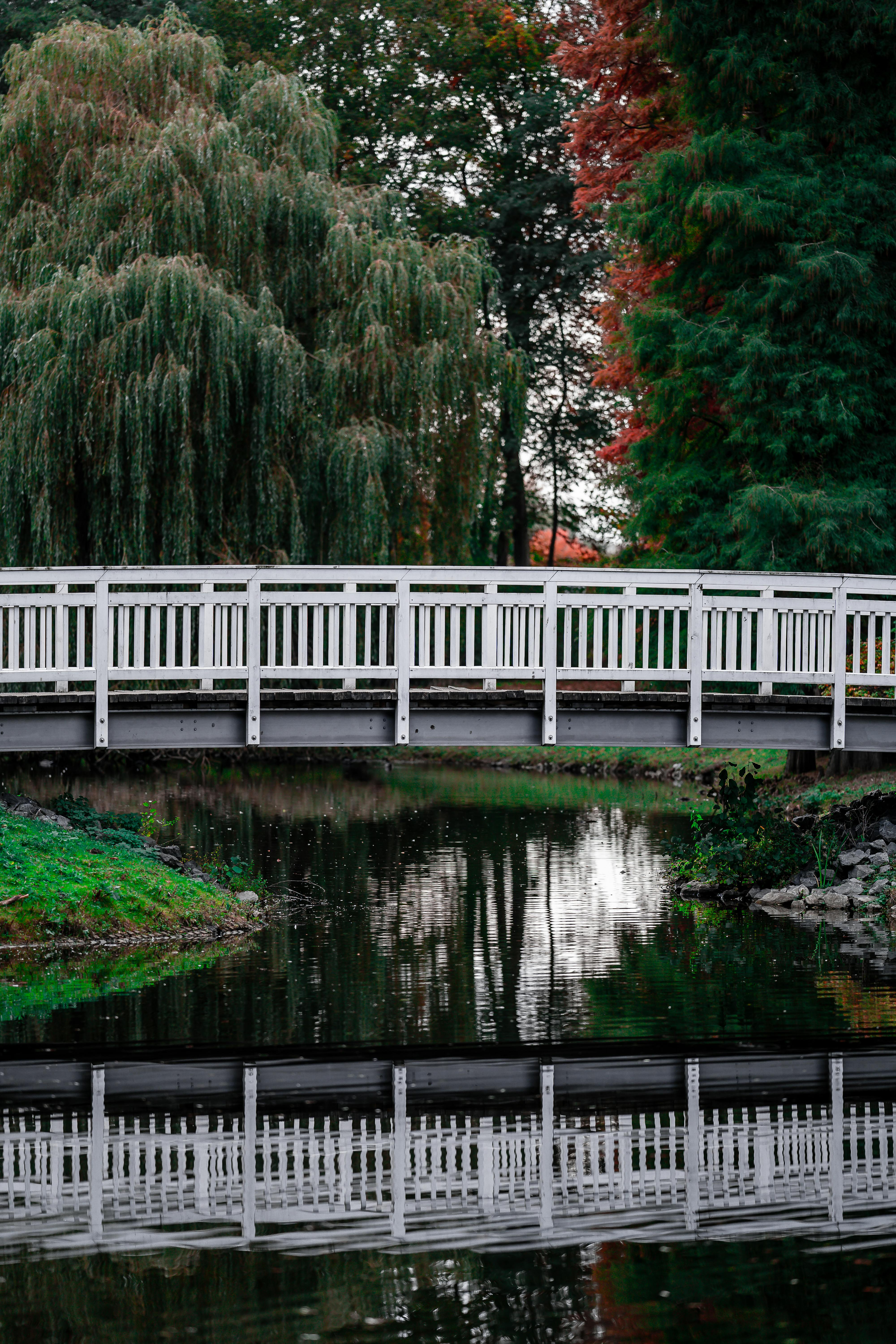 White Wooden Bridge over River · Free Stock Photo