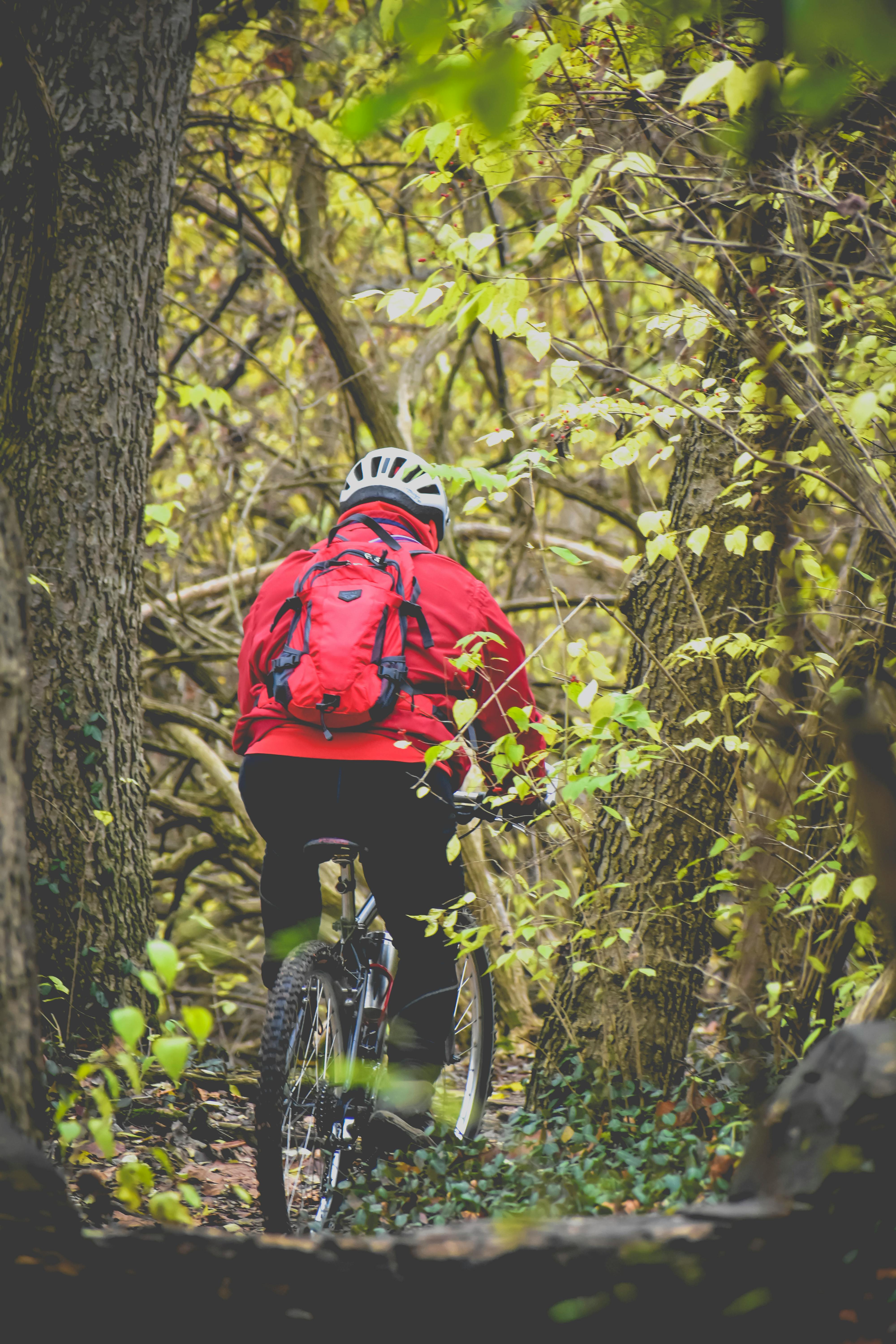 Male cyclists riding bicycle through trees · Free Stock Photo
