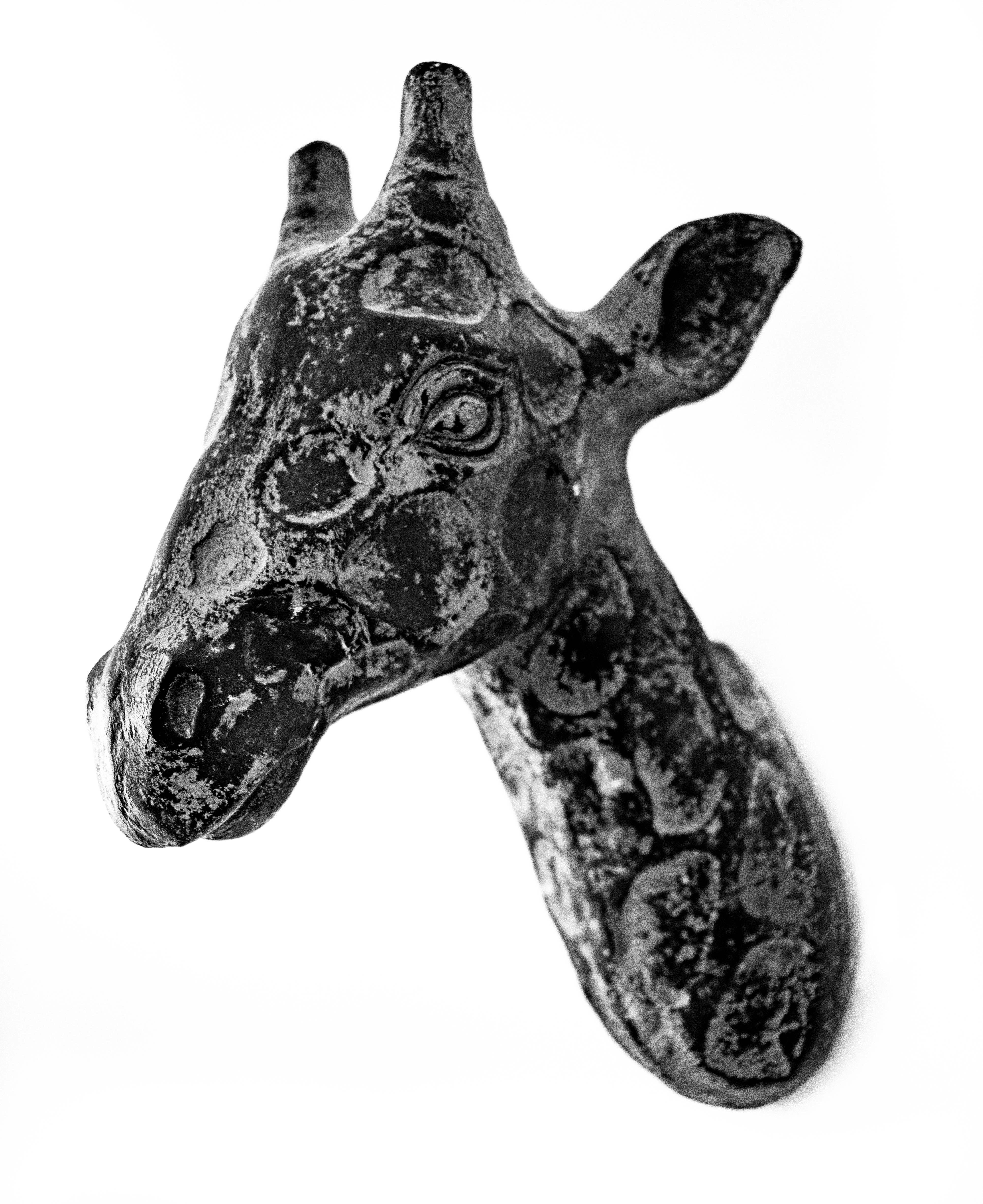 Amanda Hansson - Photography