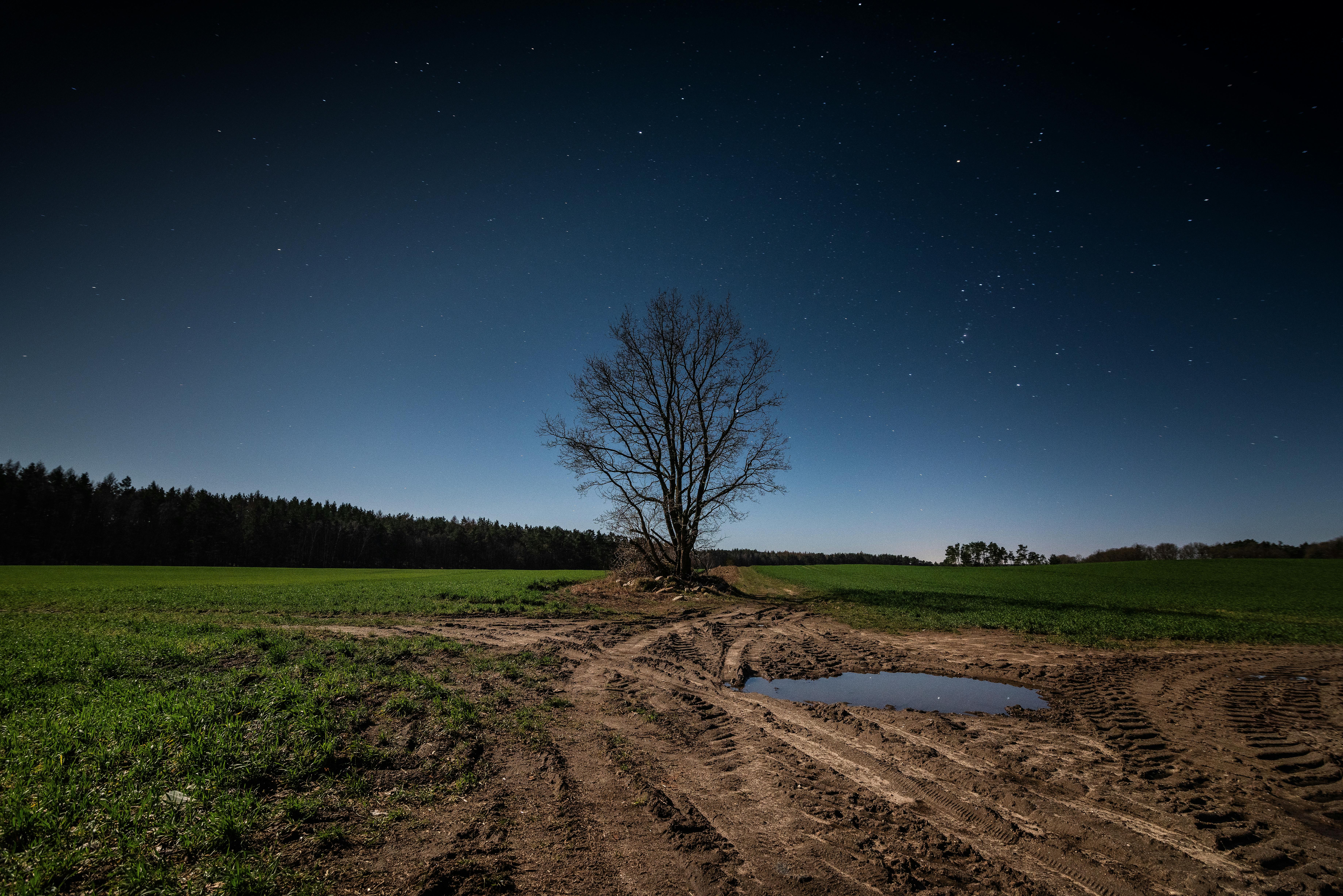 Scenic View of Open Field During Night Time · Free Stock Photo
