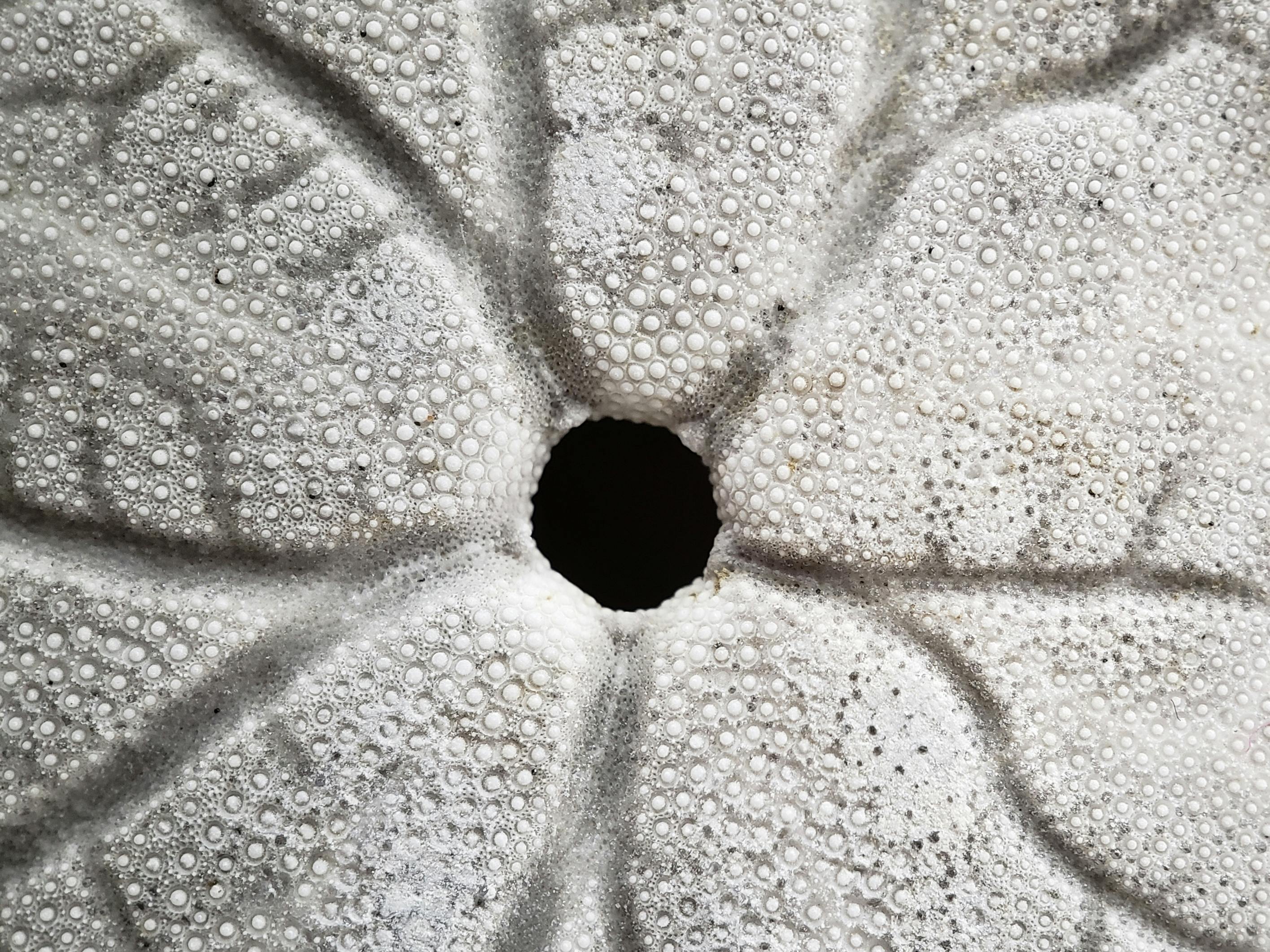 Hole in White Surface · Free Stock Photo