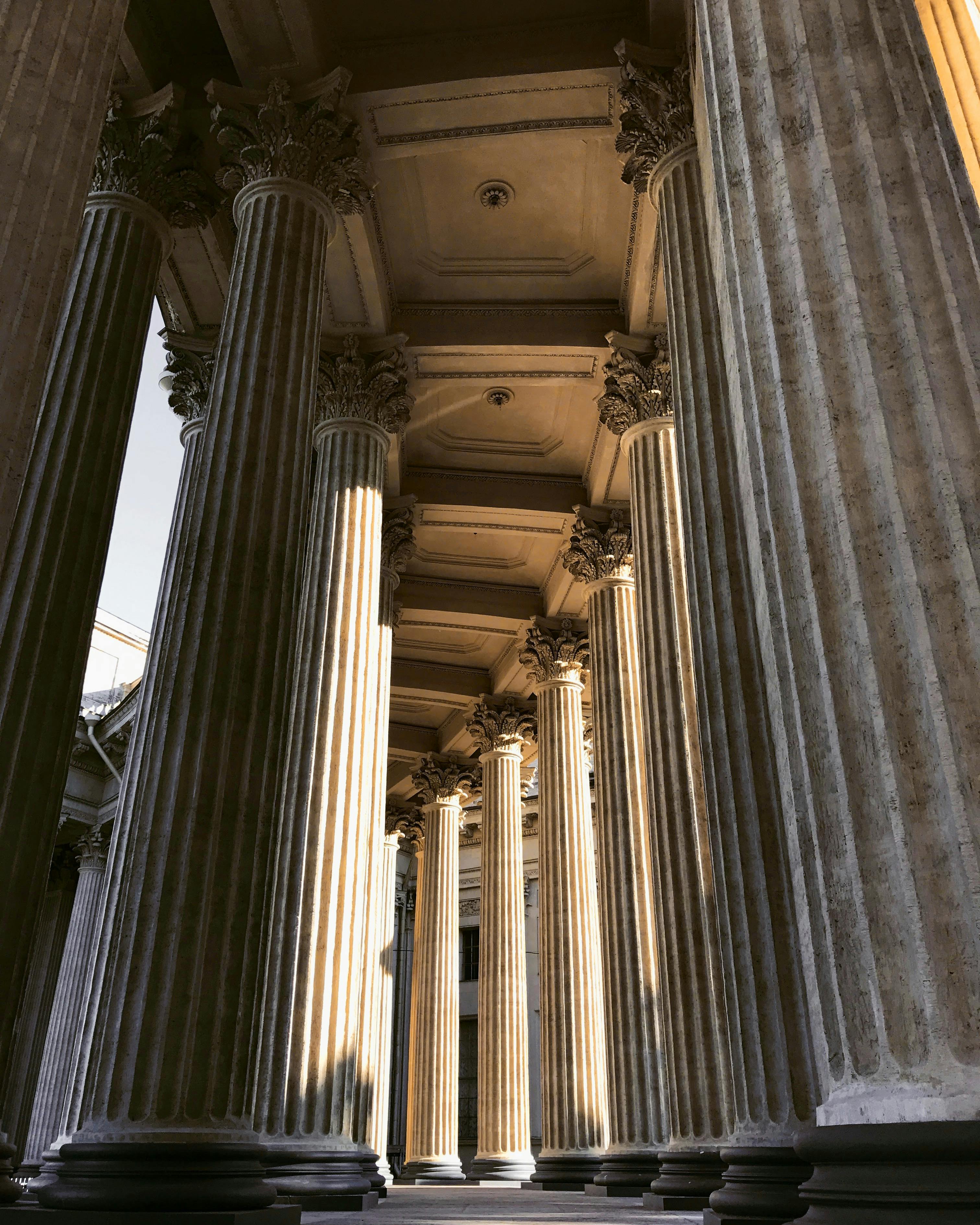 80+ Best Academia Photos · 100% Free Download · Pexels Stock Photos