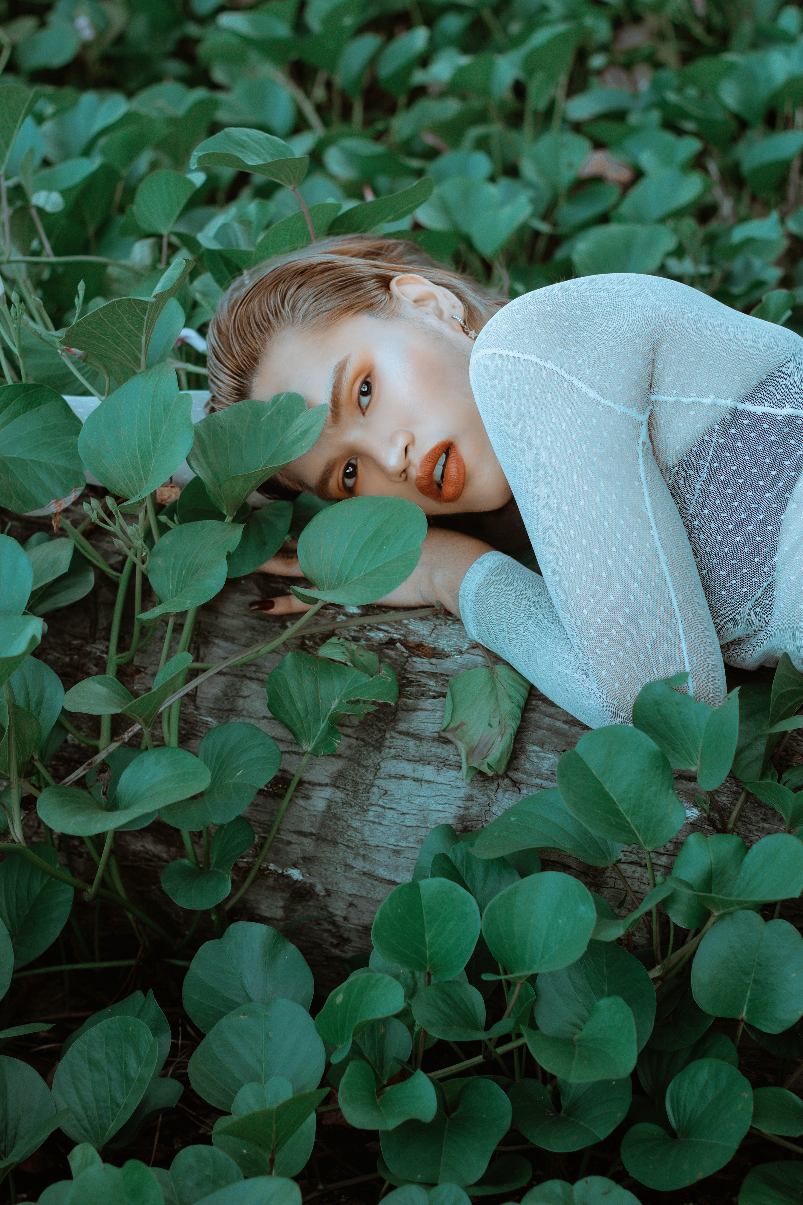 Young female model lying on tree trunk among foliage · Free Stock Photo