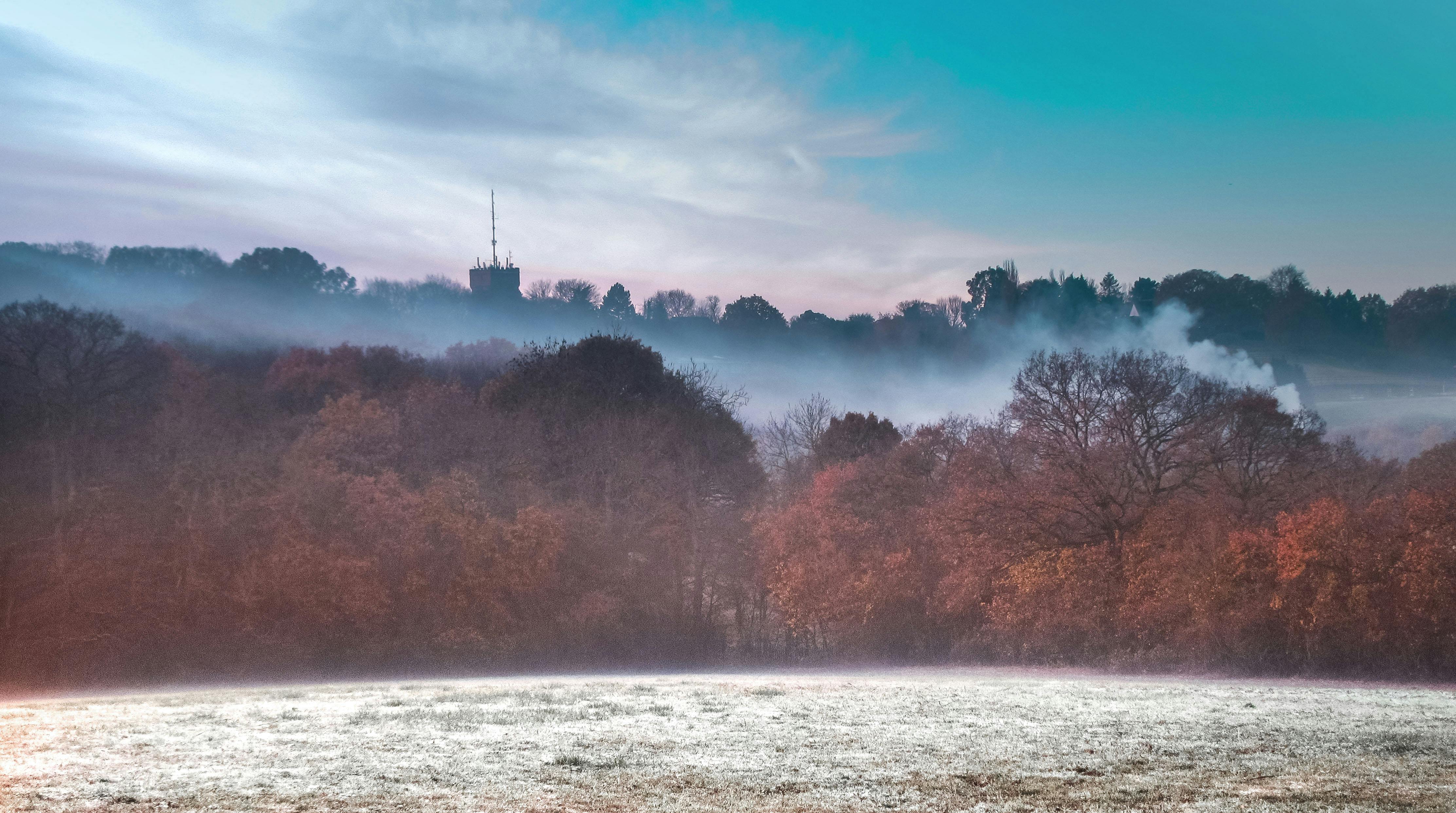 Aerial Photography of Open Field · Free Stock Photo