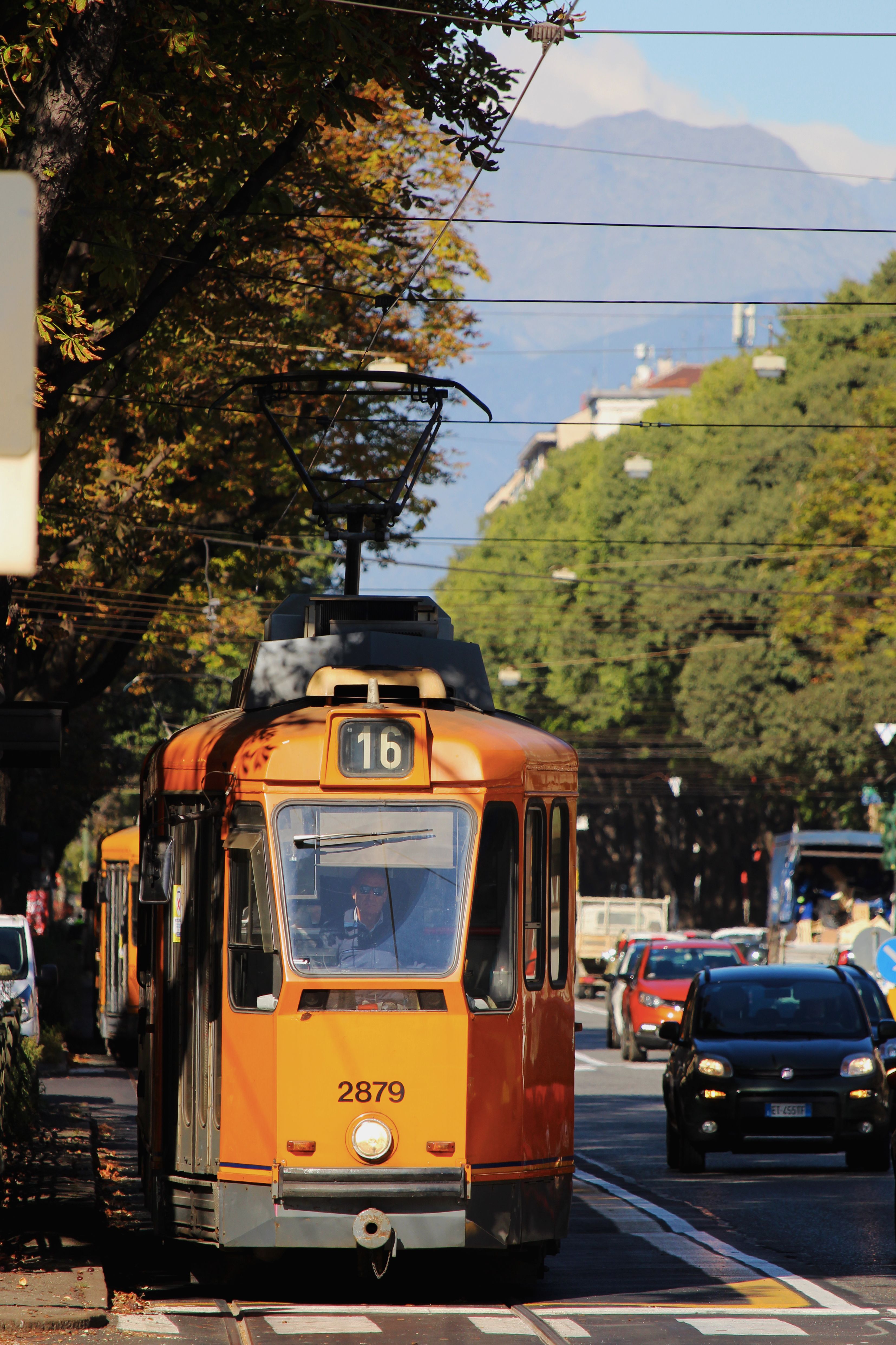 Orange Tram Beside a Road · Free Stock Photo