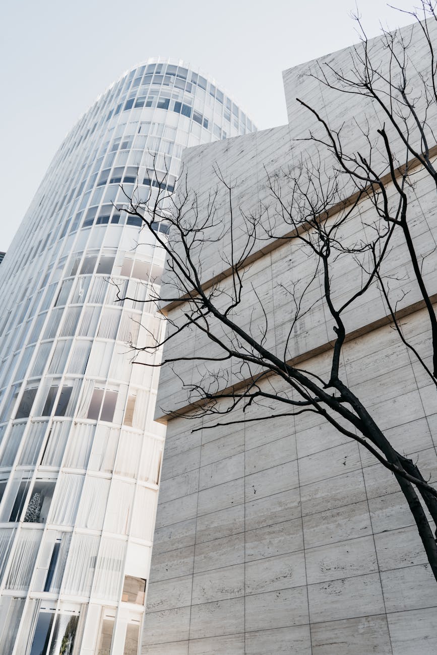 Facades Of Modern Constructions Near Tree Free Stock Photo facades-of-modern-constructions-near-tree-free-stock-photo