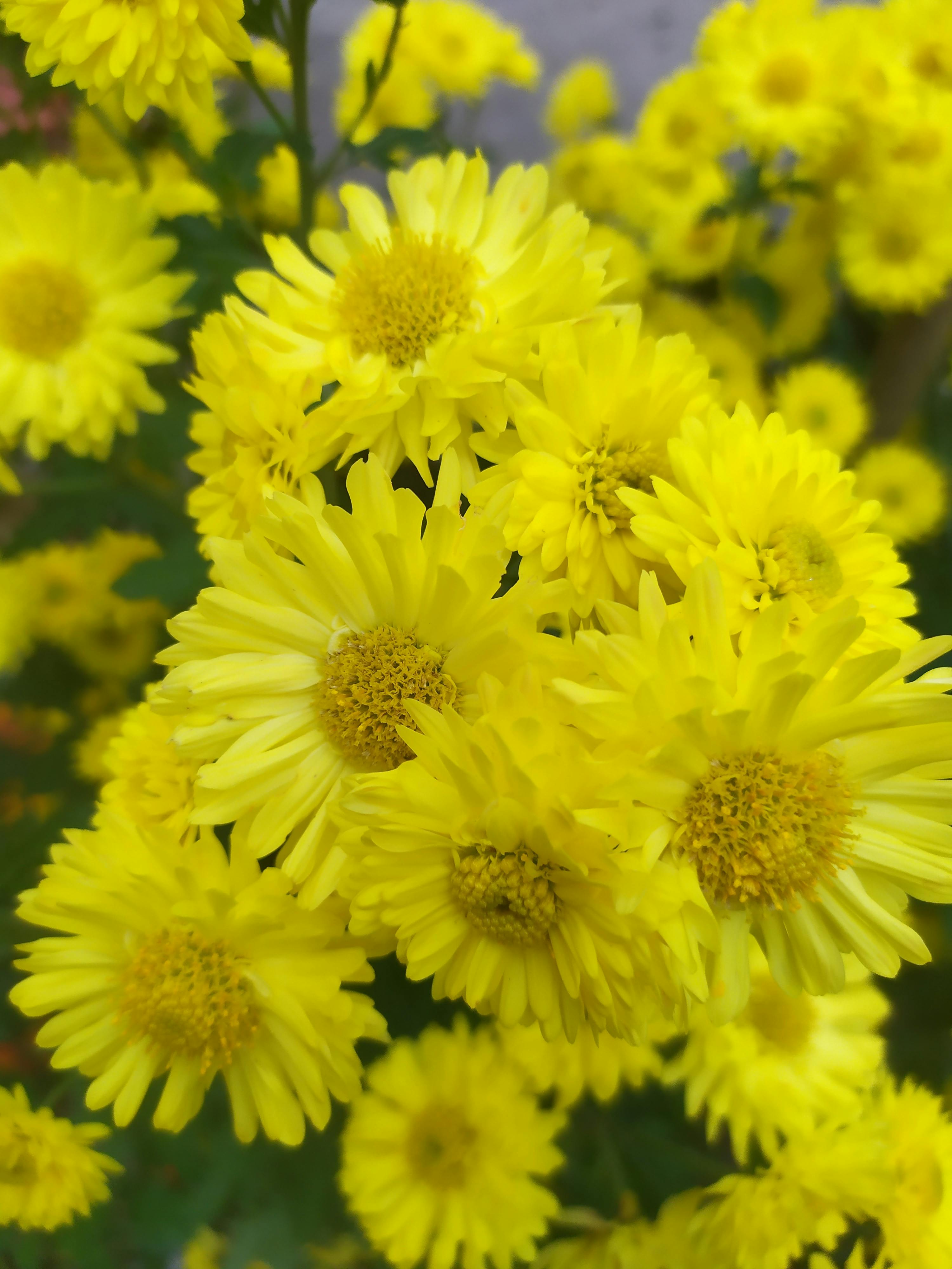 Relax Ambience Youtube - Photography