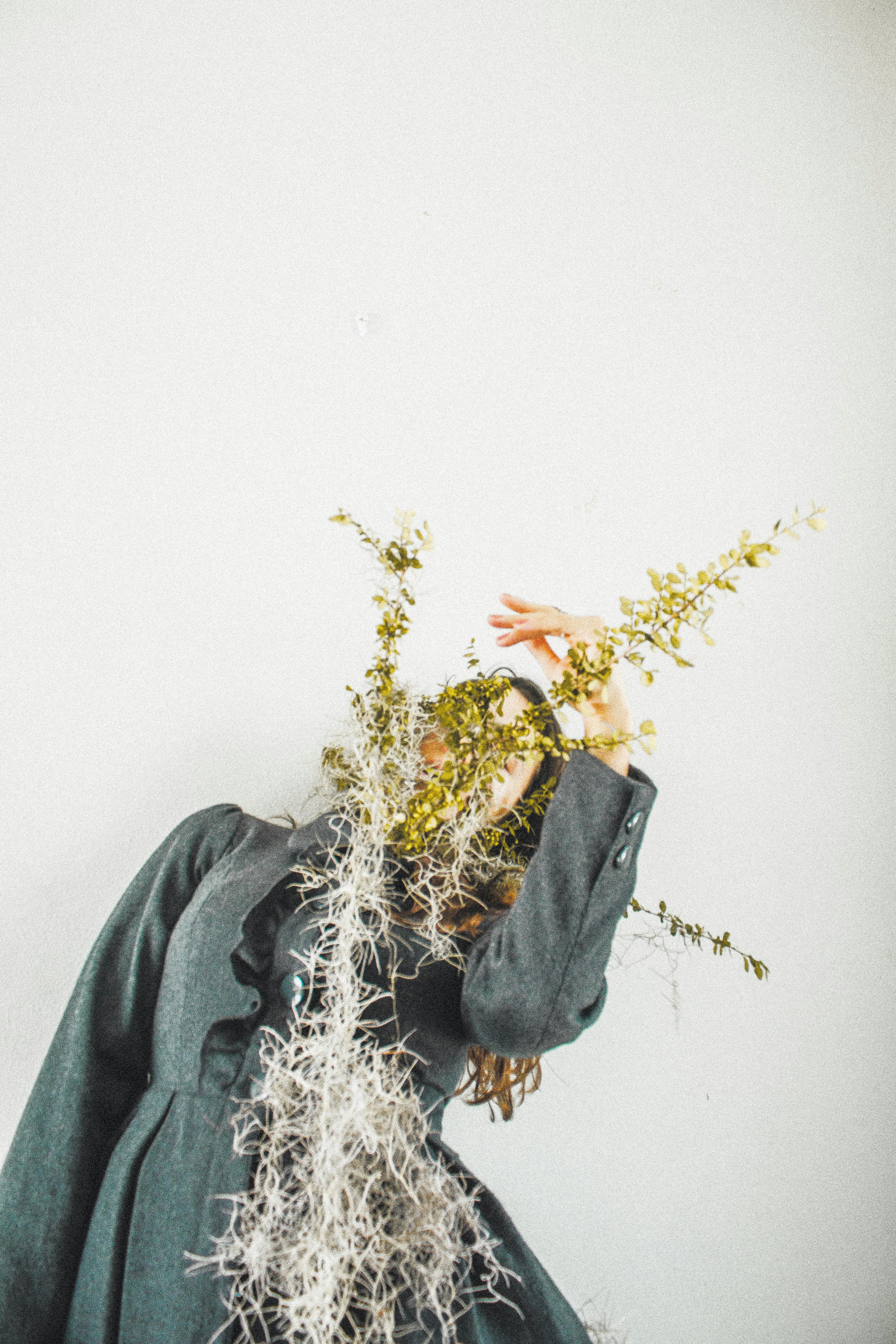 Dropping Flowers Photos, Download The BEST Free Dropping Flowers Stock ...