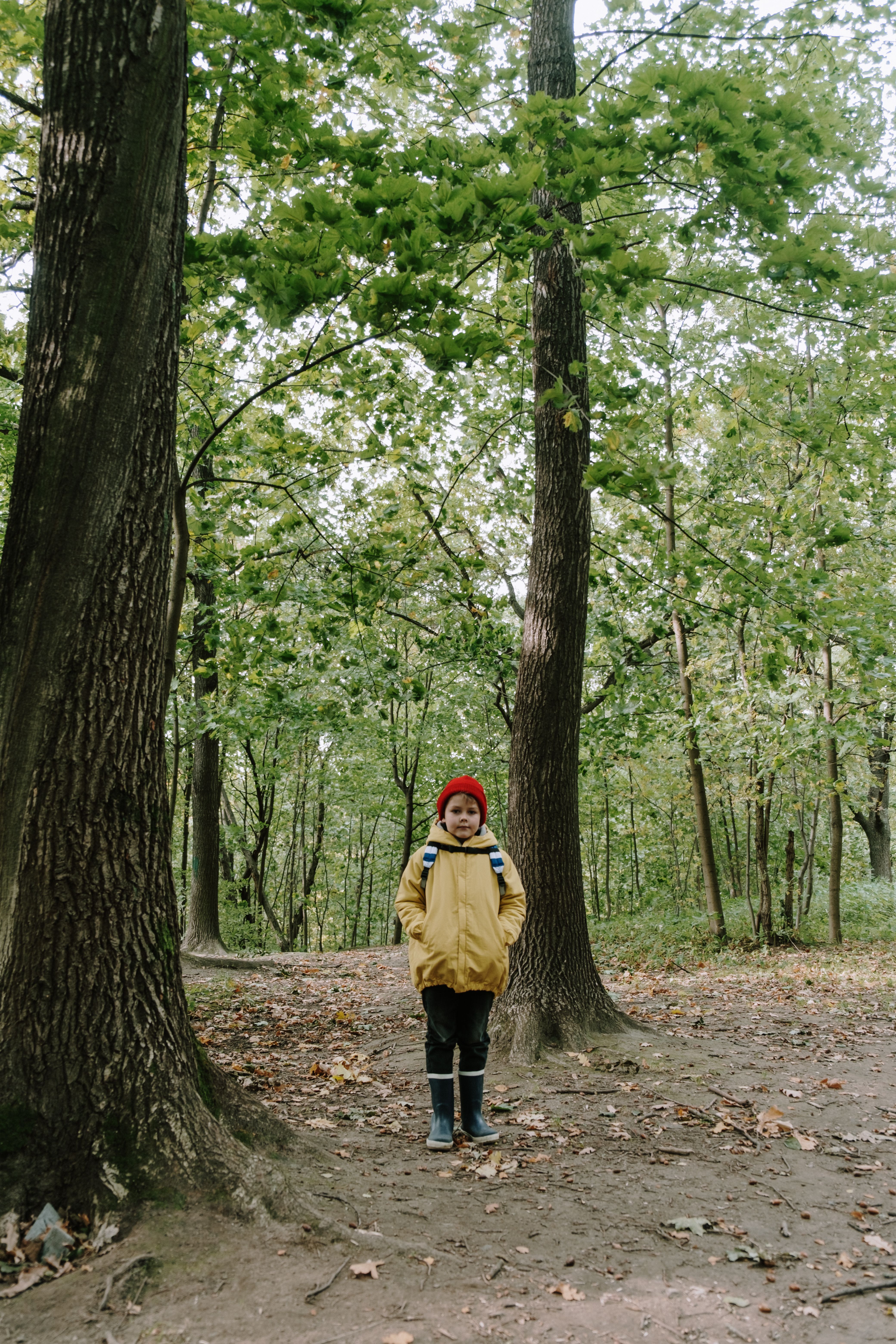 A Kid in the Forest · Free Stock Photo