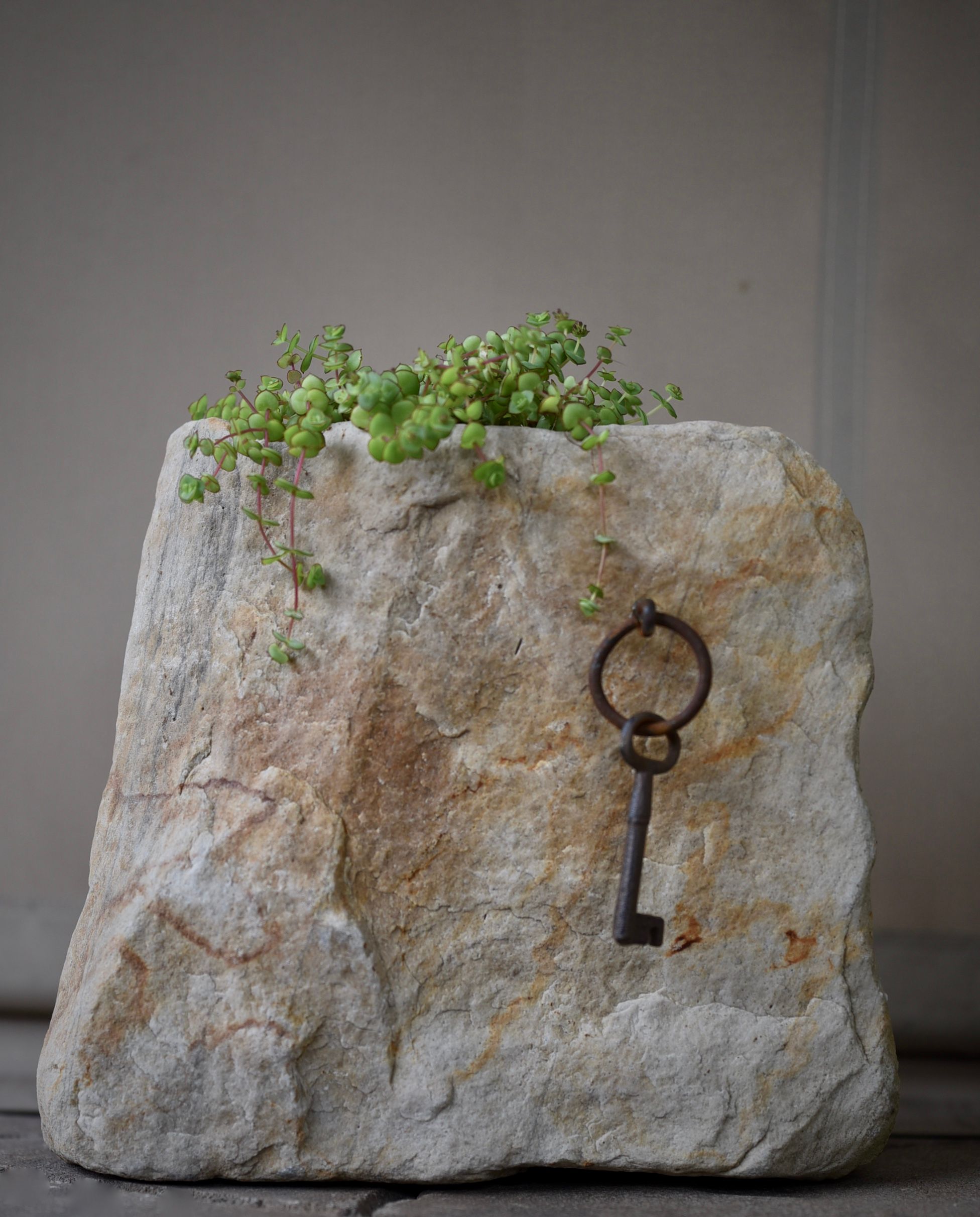 Keys Planter Photos, Download The BEST Free Keys Planter Stock Photos ...