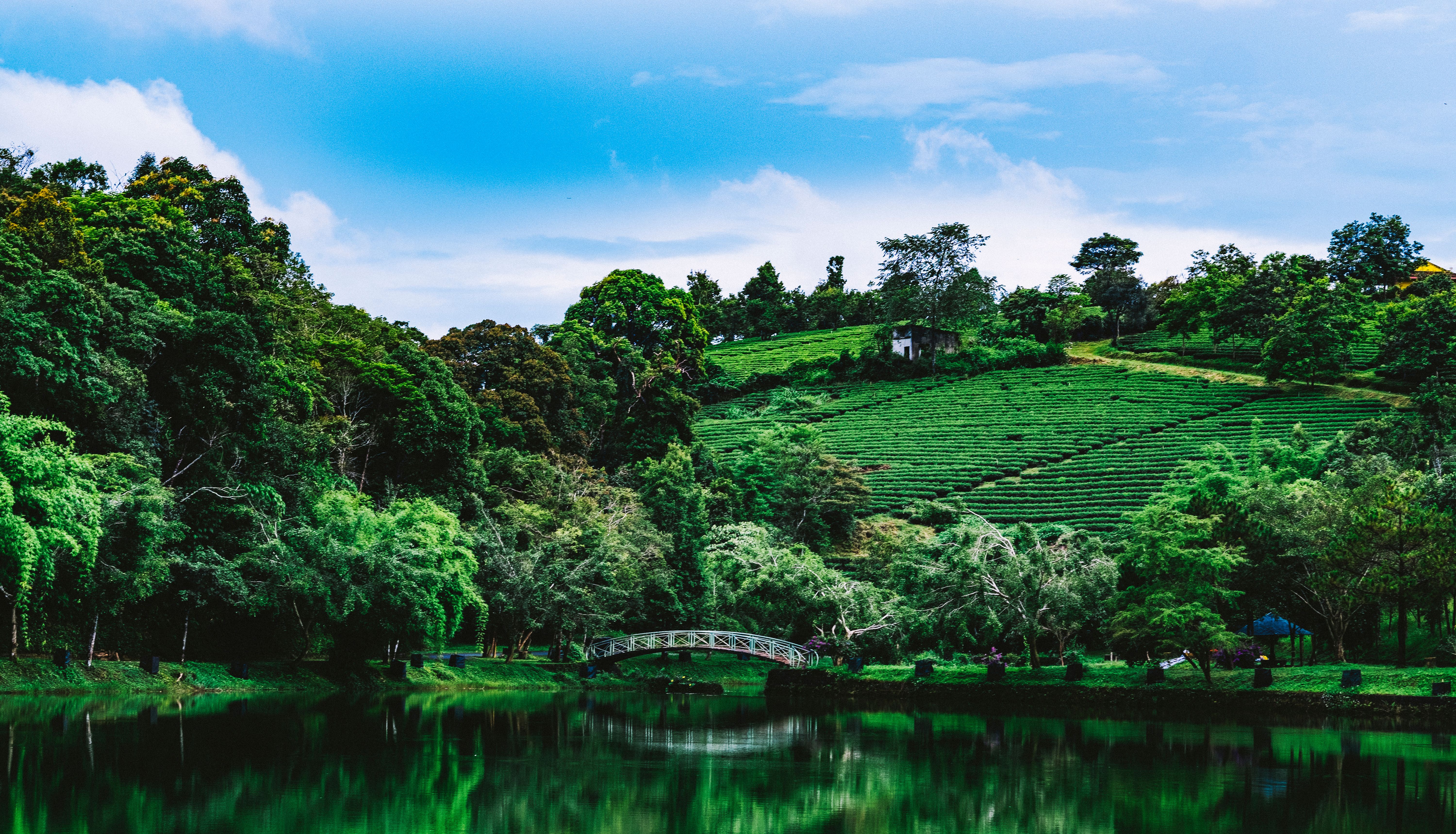 Antu Pond Photos, Download The BEST Free Antu Pond Stock Photos & HD Images