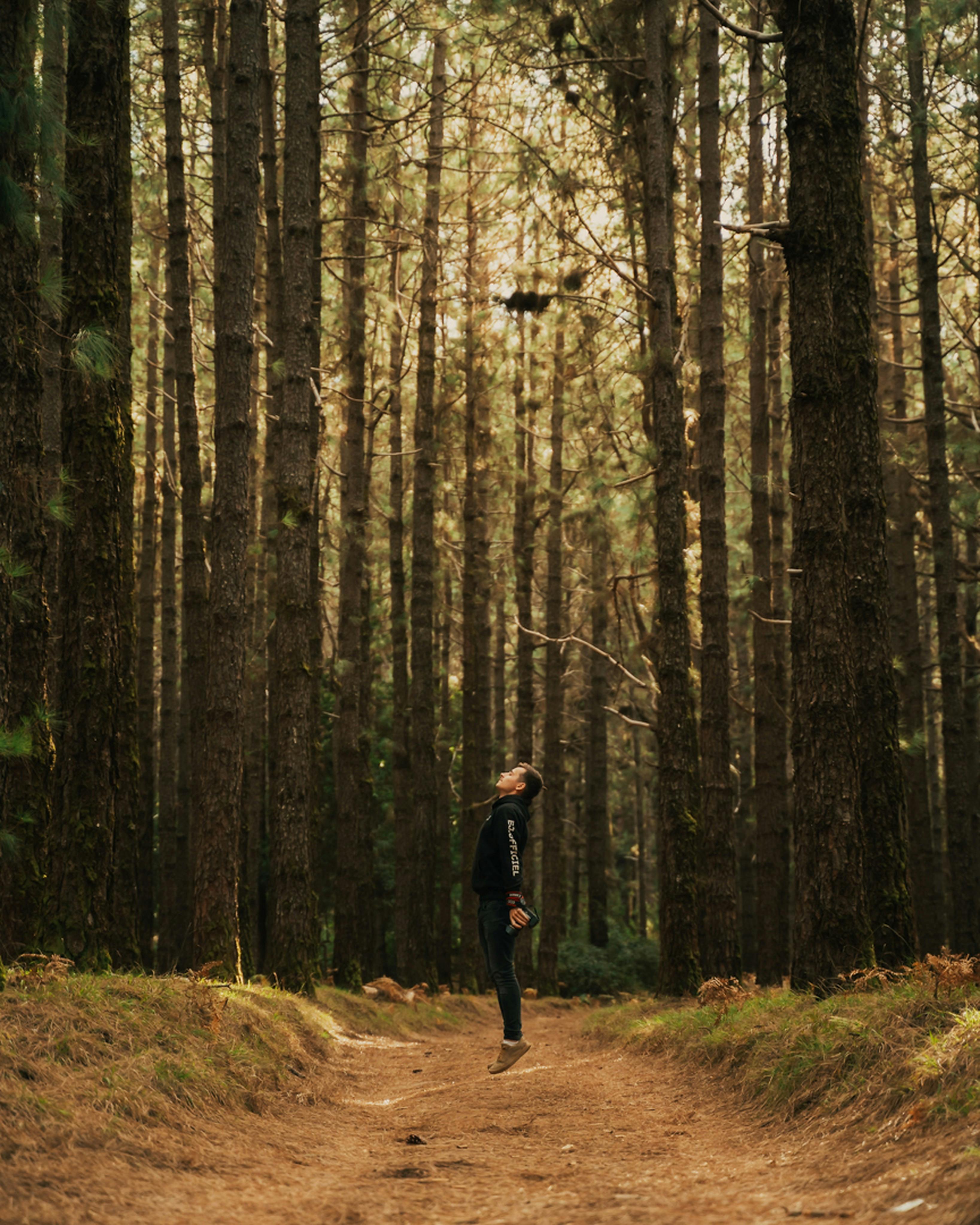Photo of Person Walking on Unpaved Pathway · Free Stock Photo