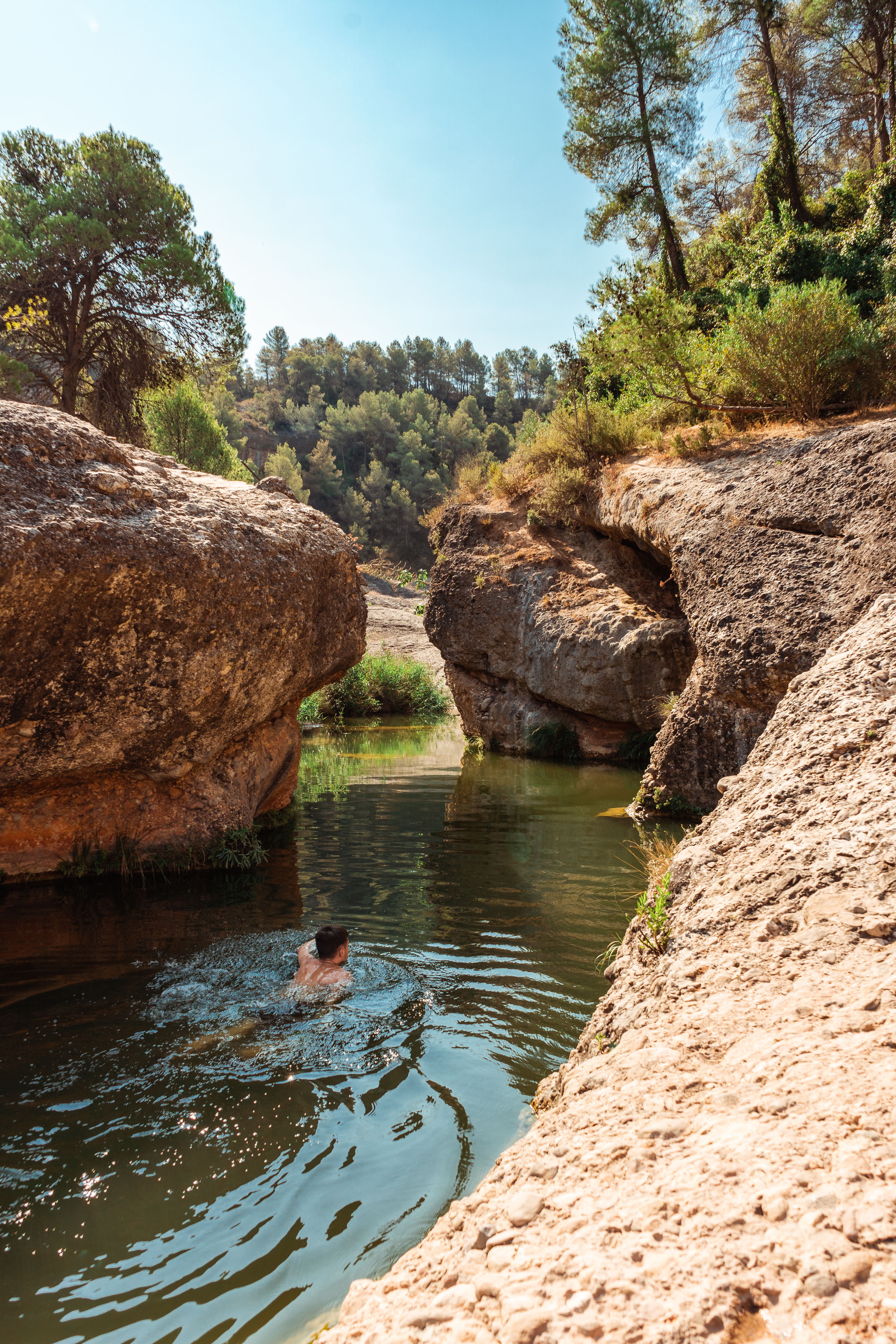 Swimming In Forest Photos, Download The BEST Free Swimming In Forest ...