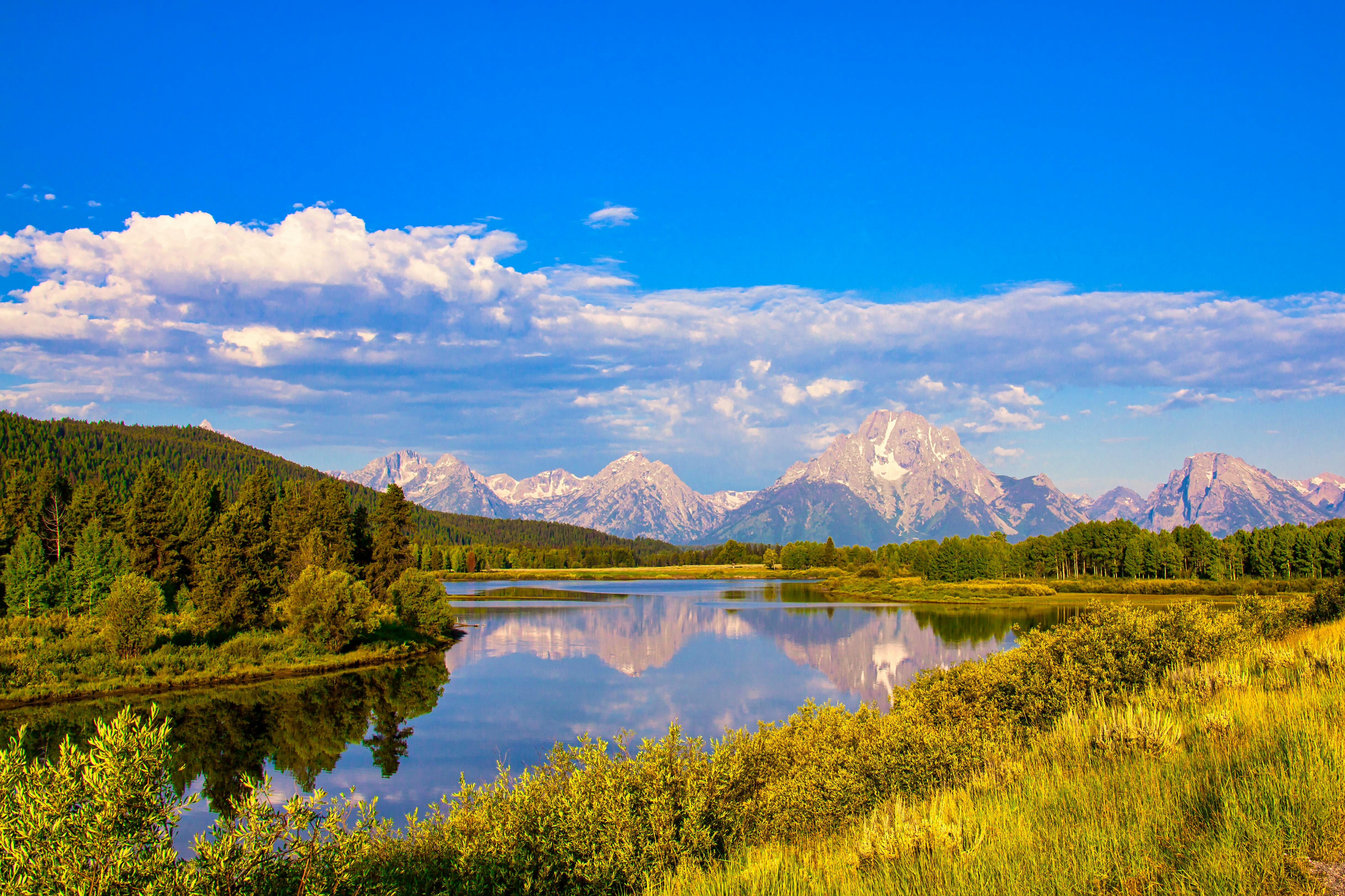 Green Trees Near Lake Under Blue Sky · Free Stock Photo