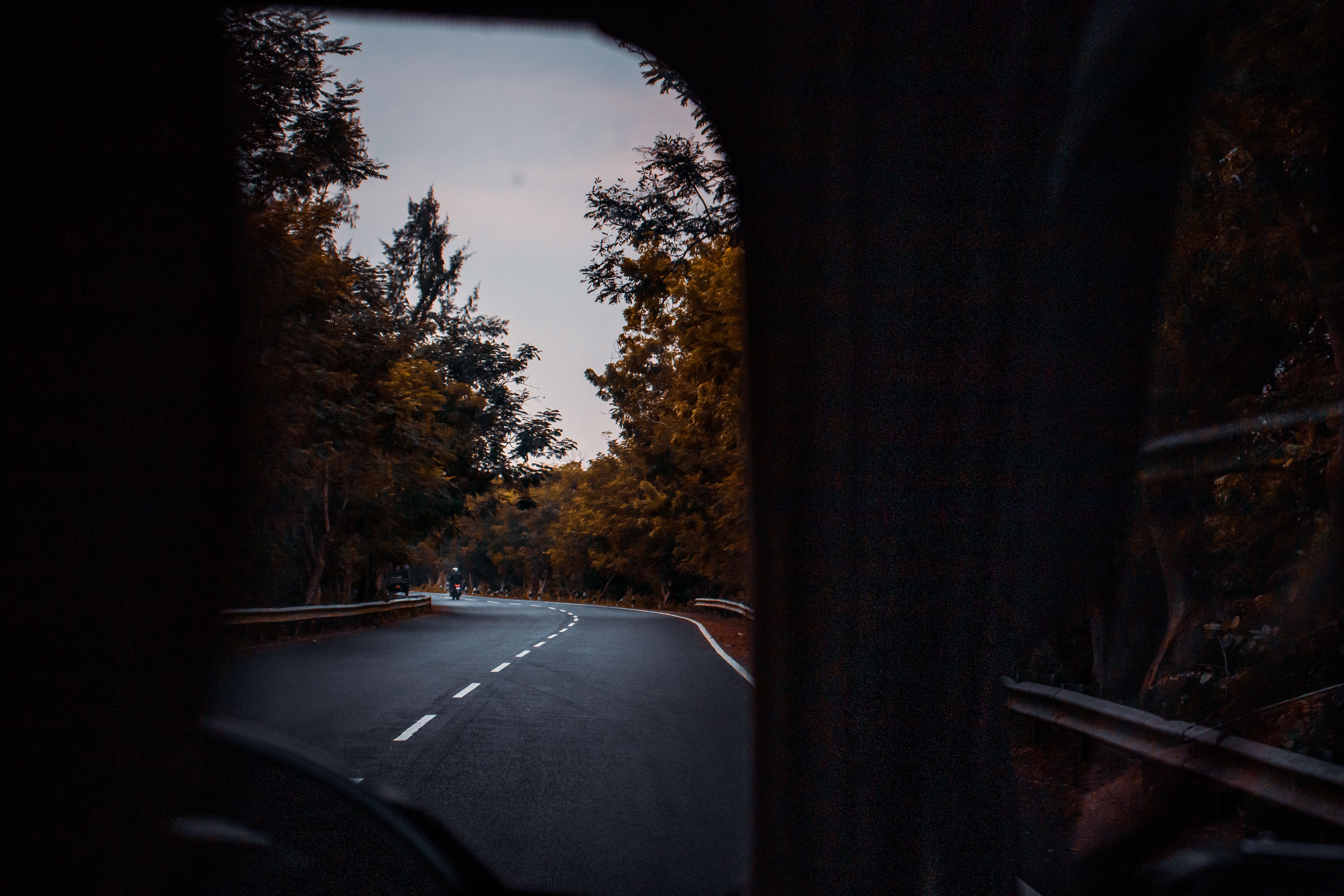 Car driving along road between autumn trees · Free Stock Photo