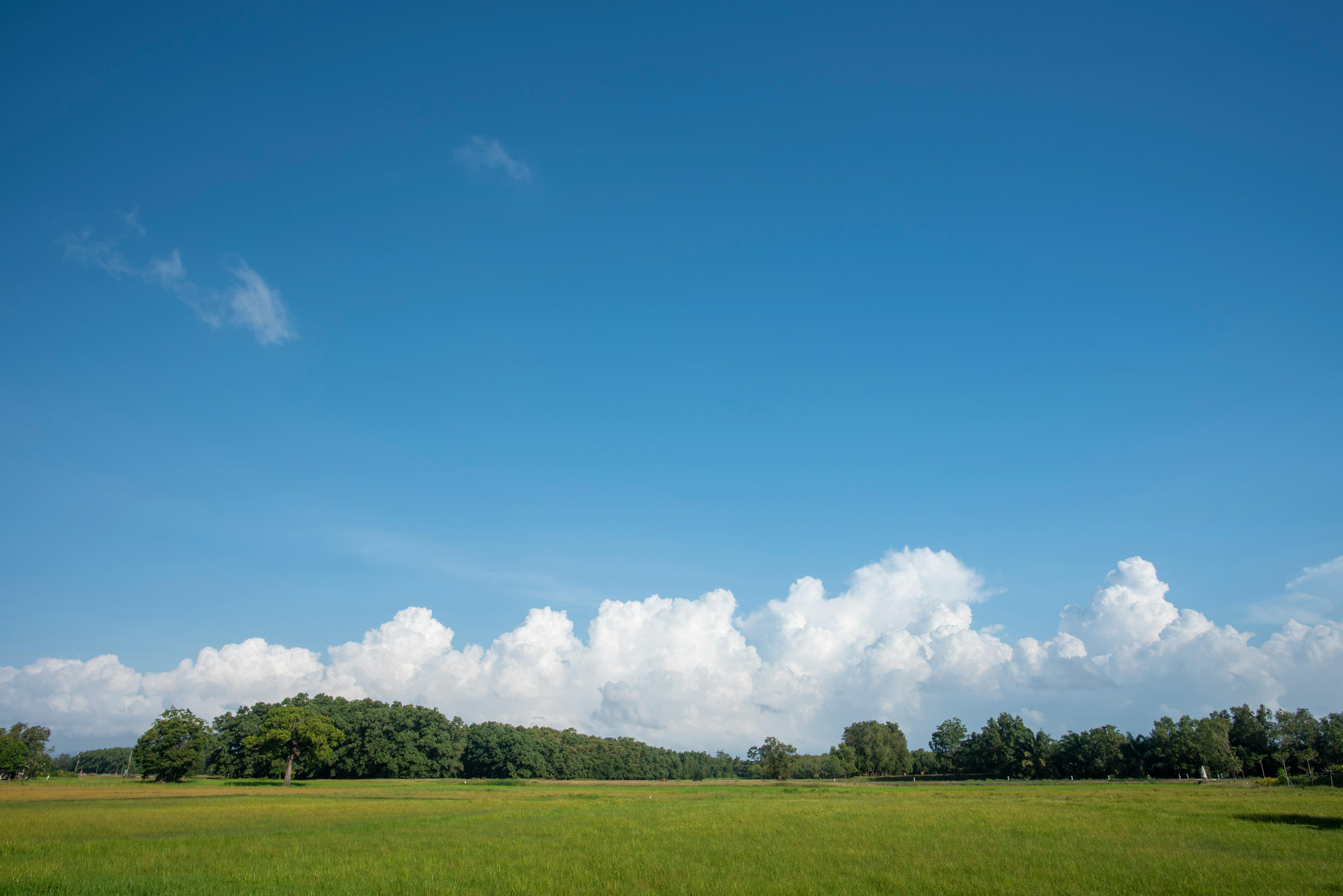 Green Grass Field Under Blue Sky and White Clouds · Free Stock Photo