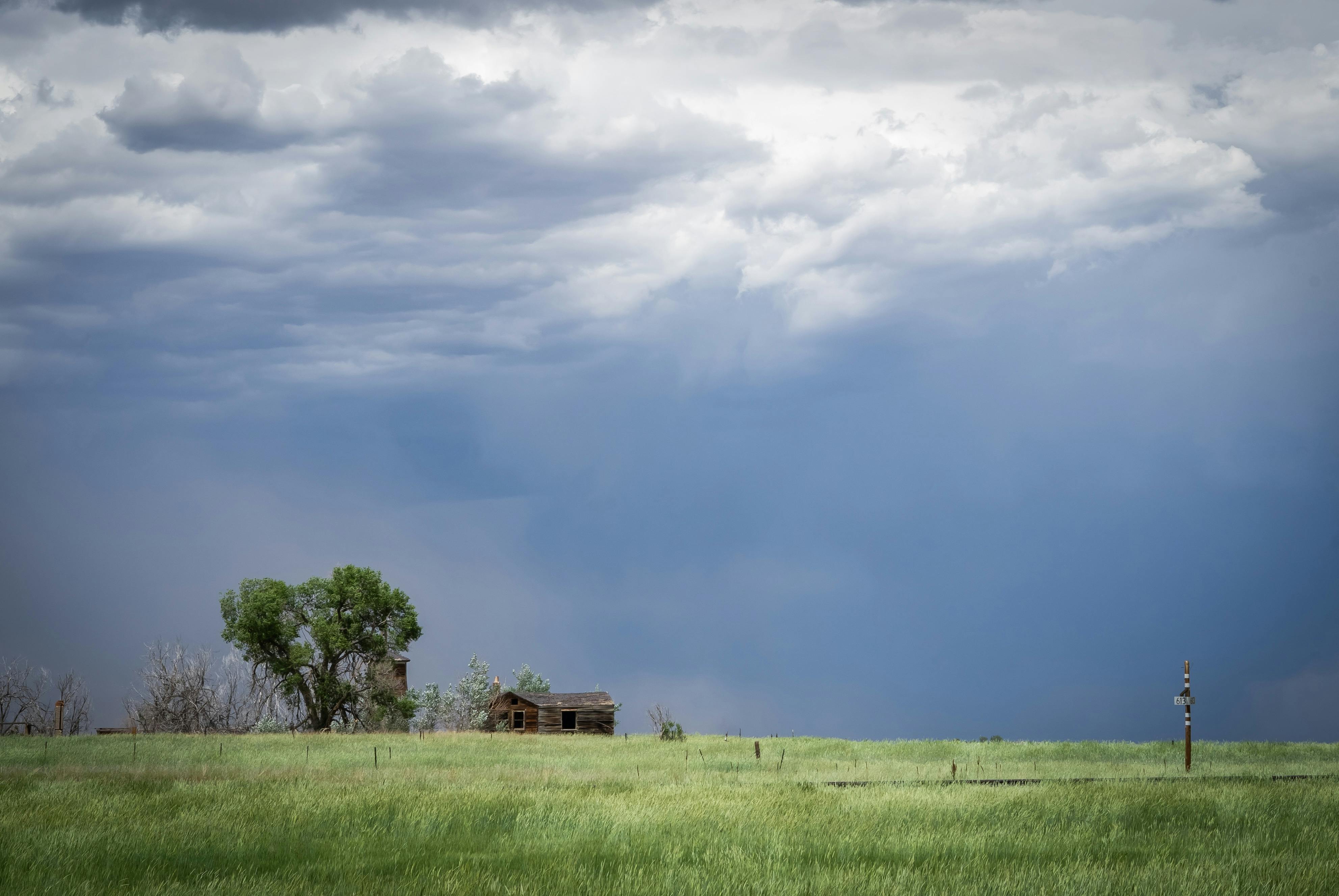 House Surrounded With Trees · Free Stock Photo