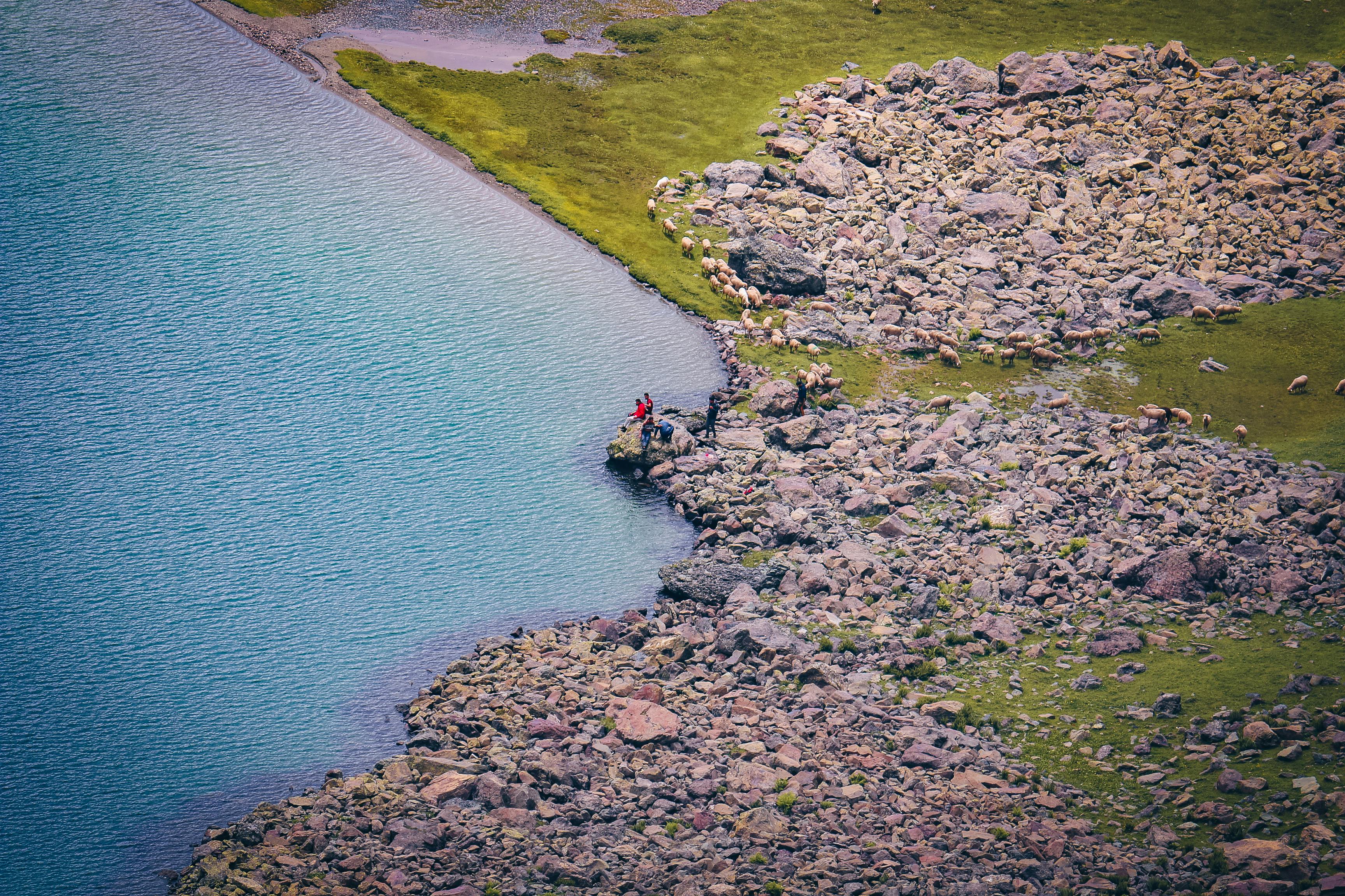 People Sitting on the Edge of a Rock on a Lake Shore · Free Stock Photo