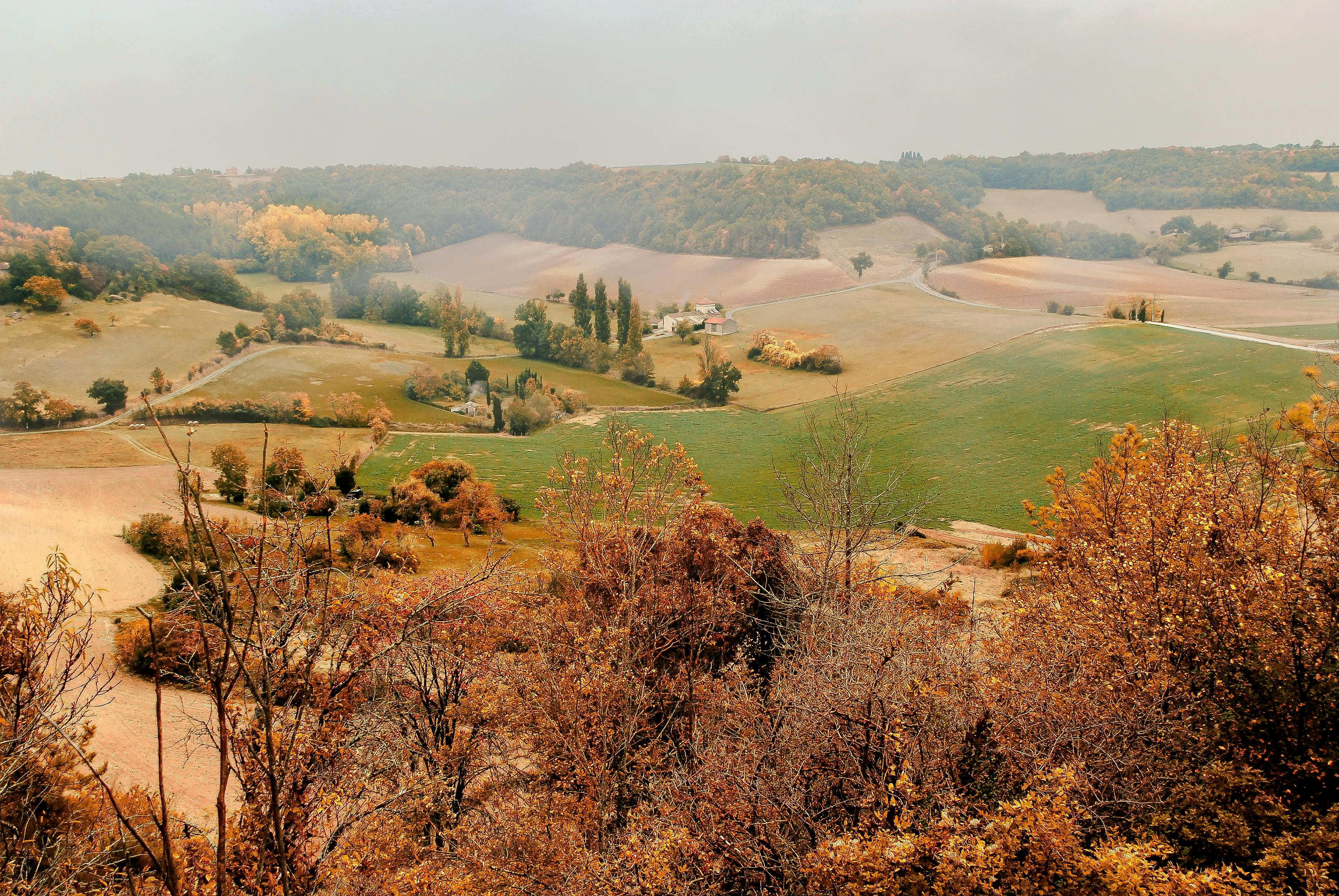 Autumn Landscape with Fields · Free Stock Photo