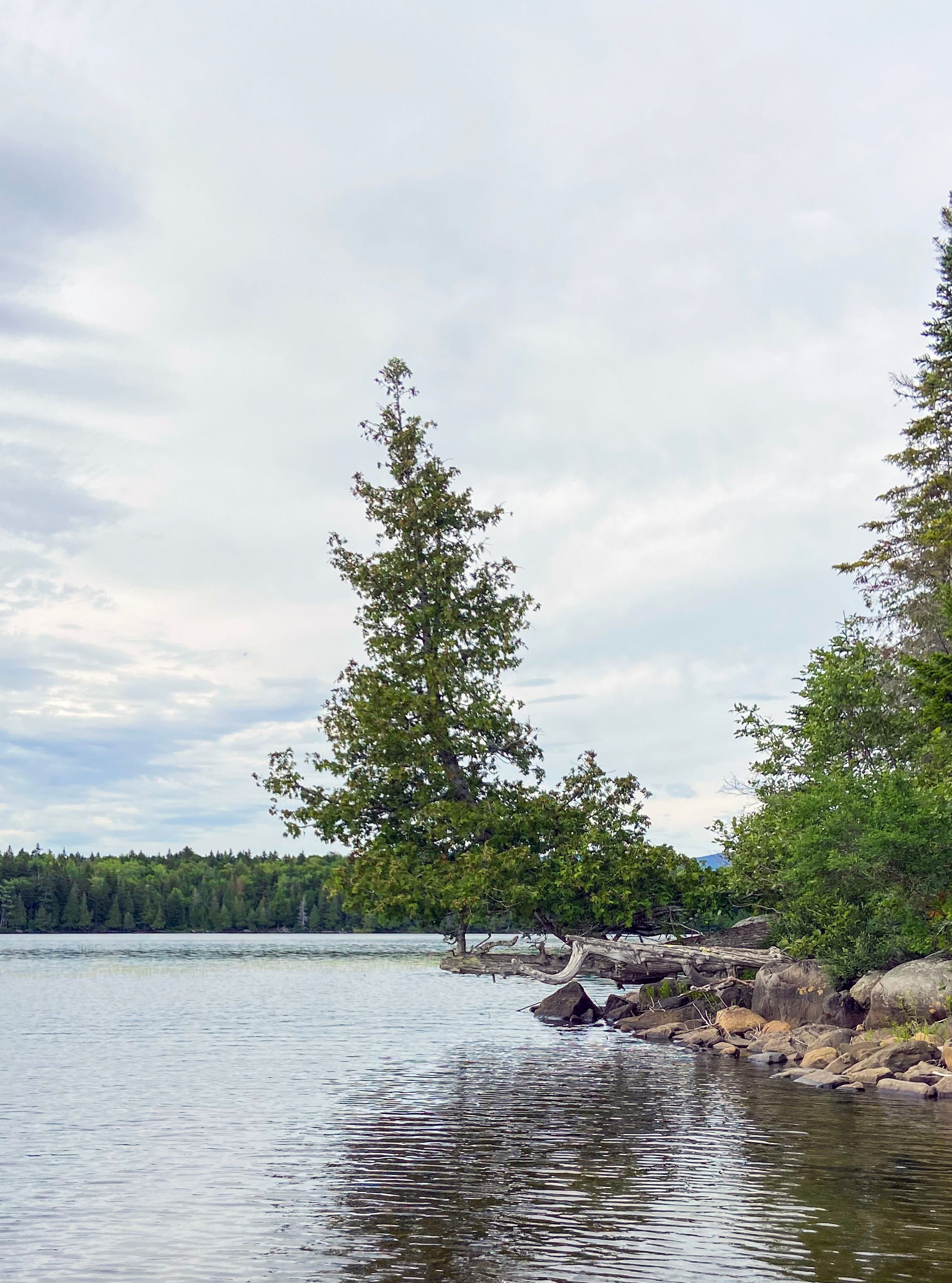 Photo of a Boat on Waterside · Free Stock Photo