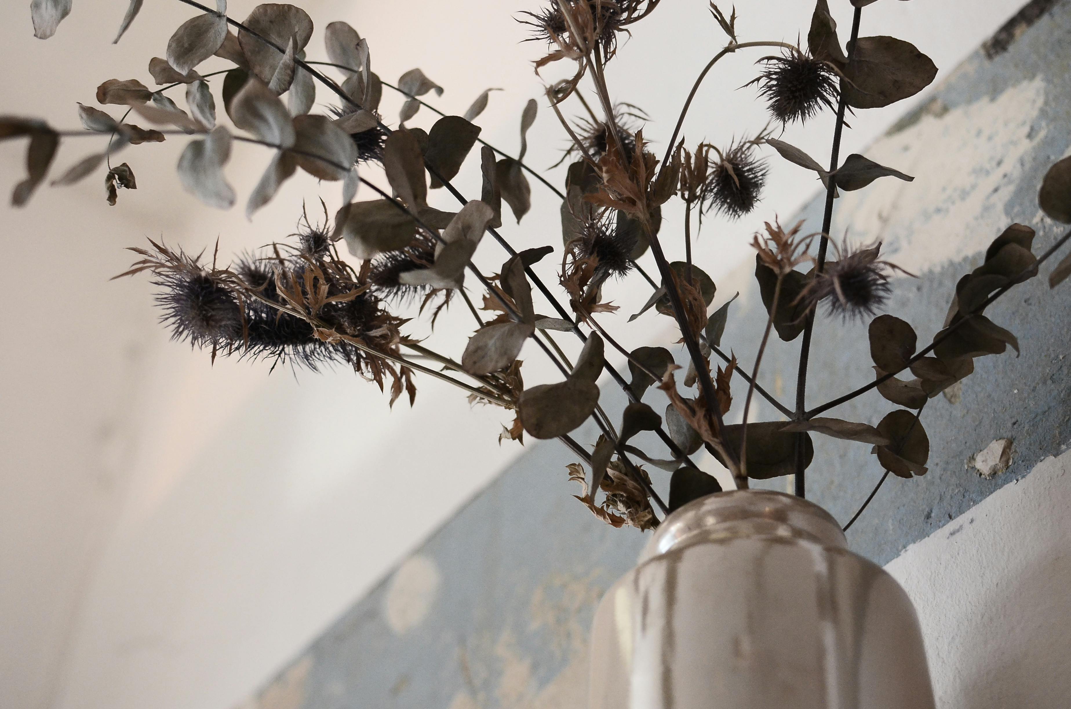 Assorted dry plant sprigs in vase near rough wall · Free Stock Photo