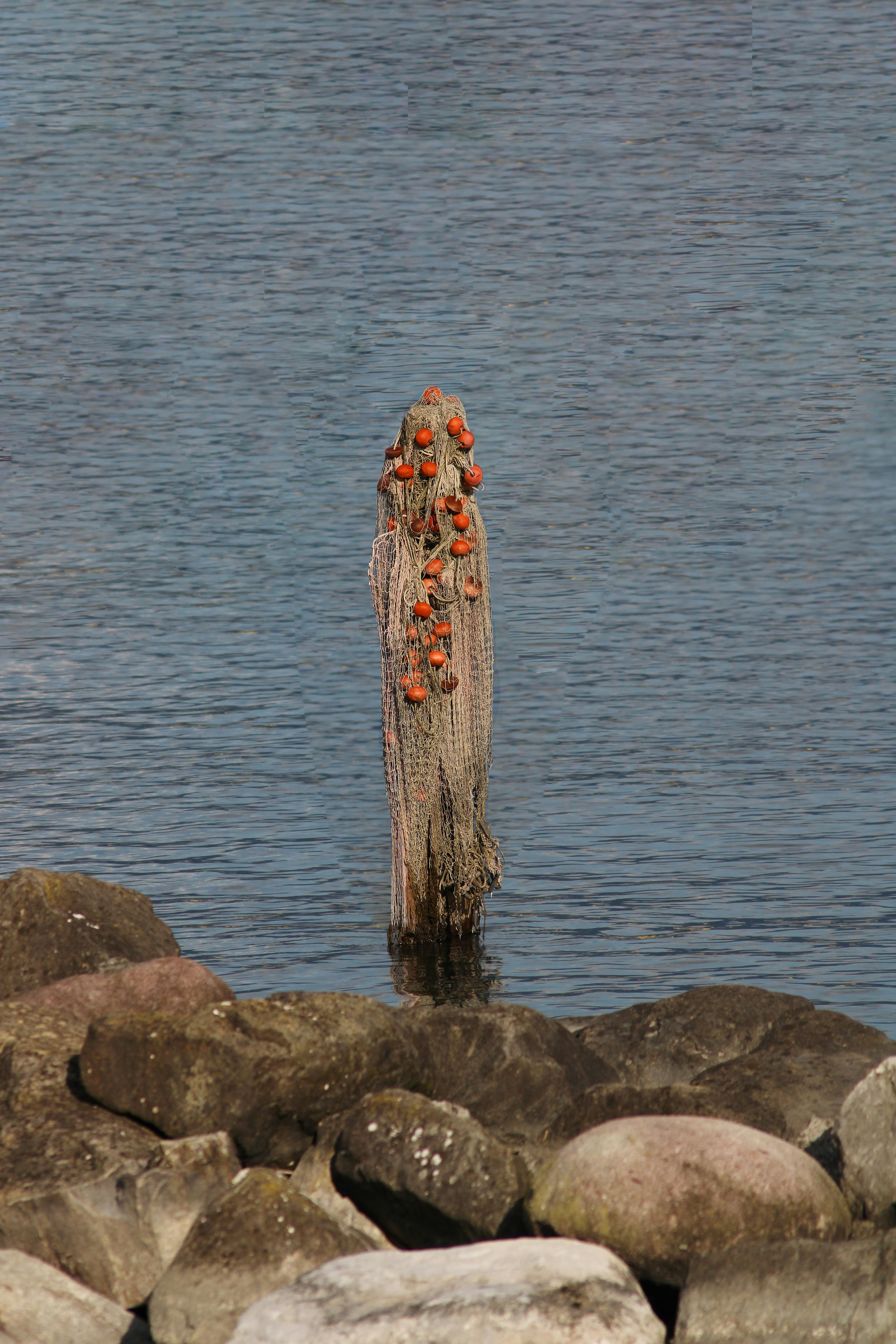 Sea Floaters Photos, Download The BEST Free Sea Floaters Stock Photos ...