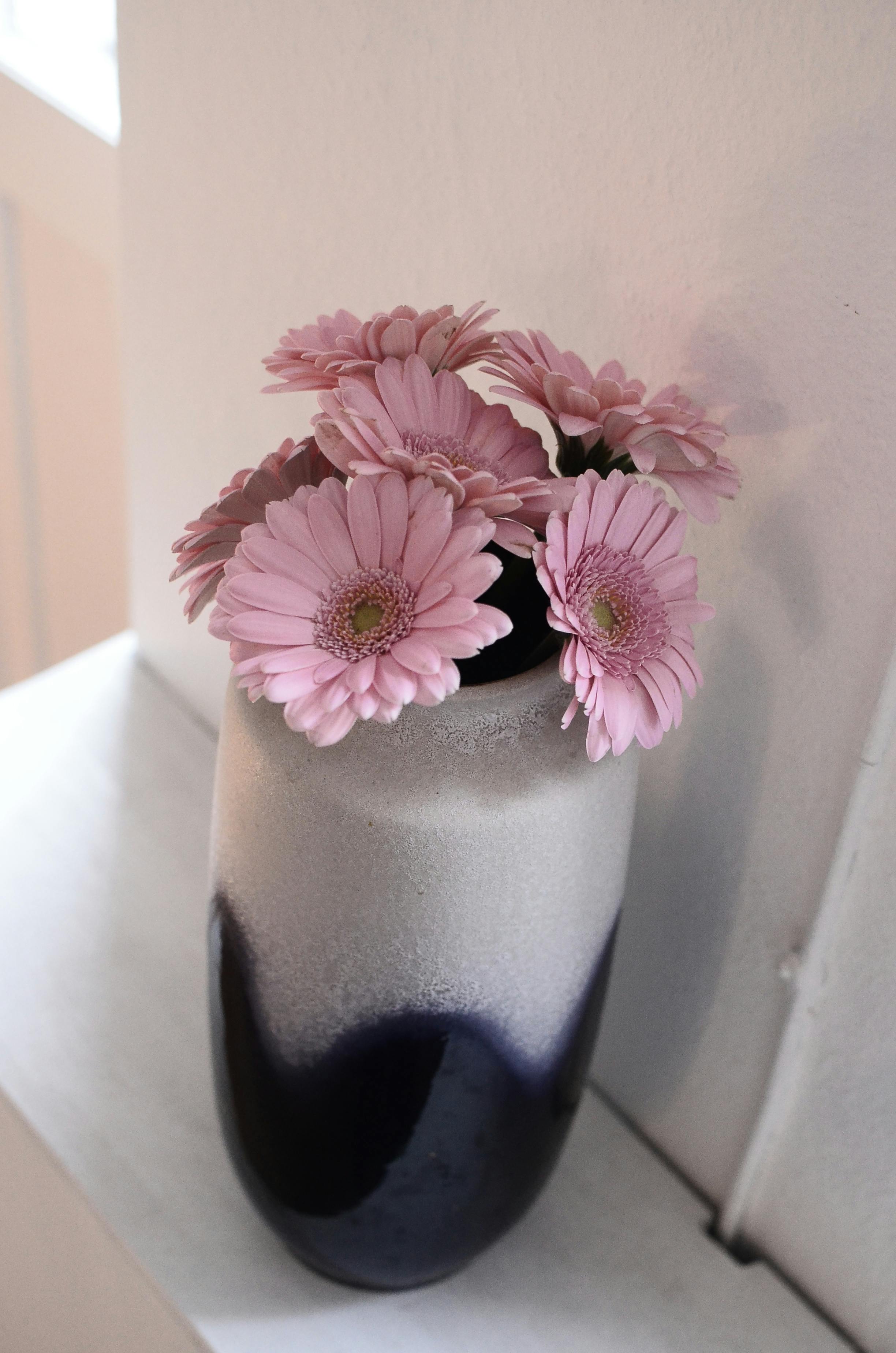 Pink flowers placed in vase · Free Stock Photo