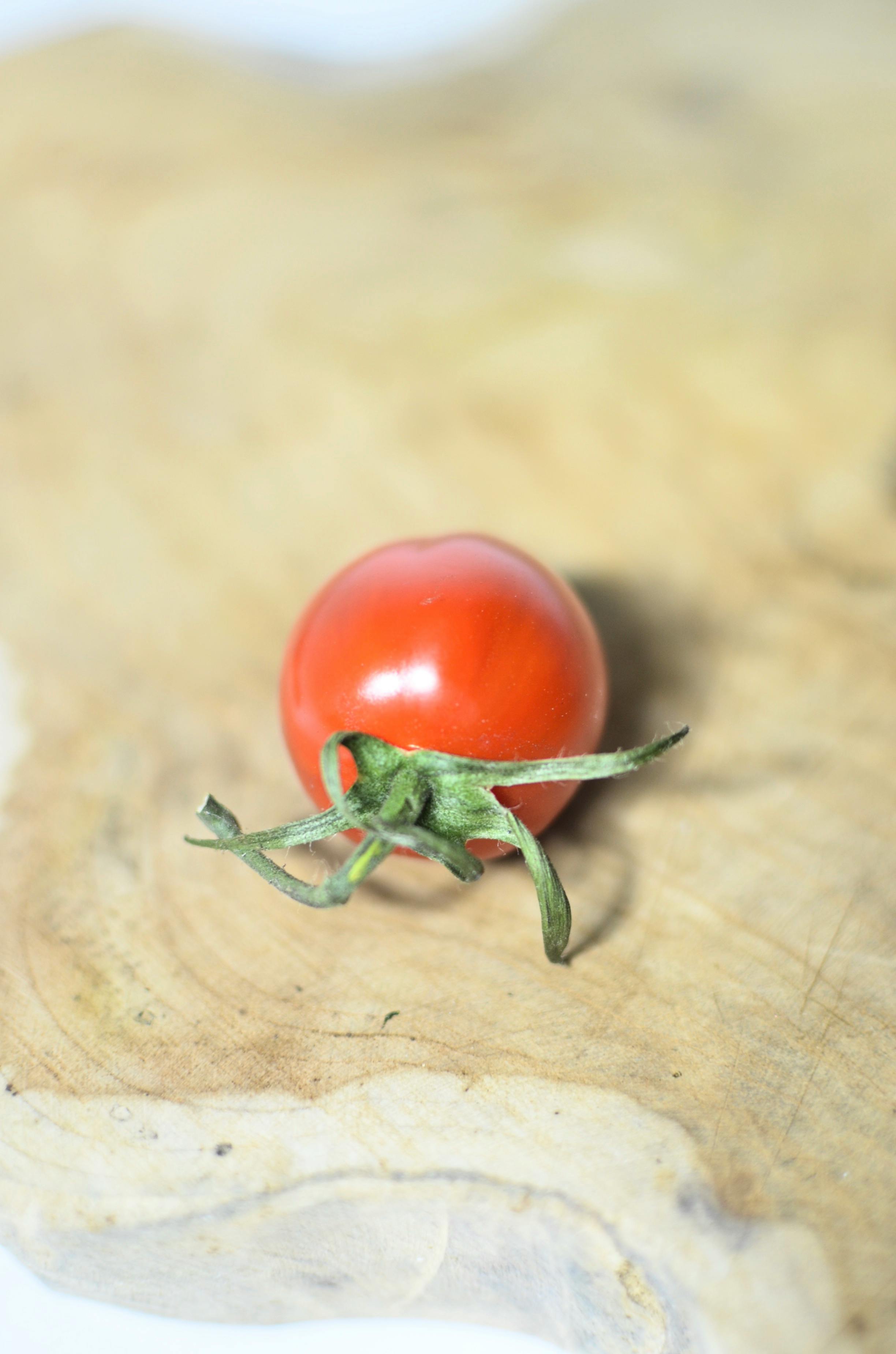 Single Vegetable Photos, Download The BEST Free Single Vegetable Stock ...