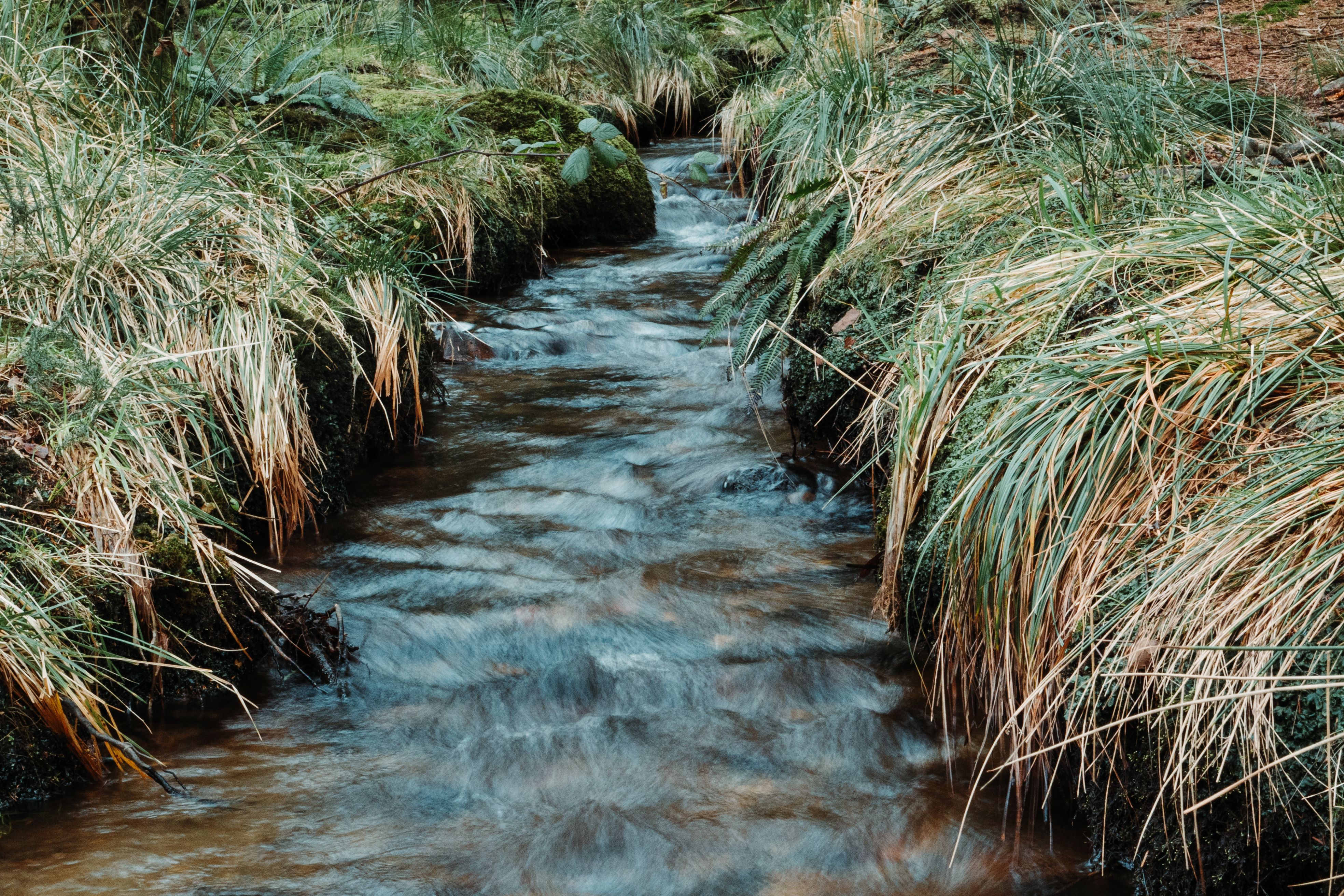 Violent River Rapids · Free Stock Photo