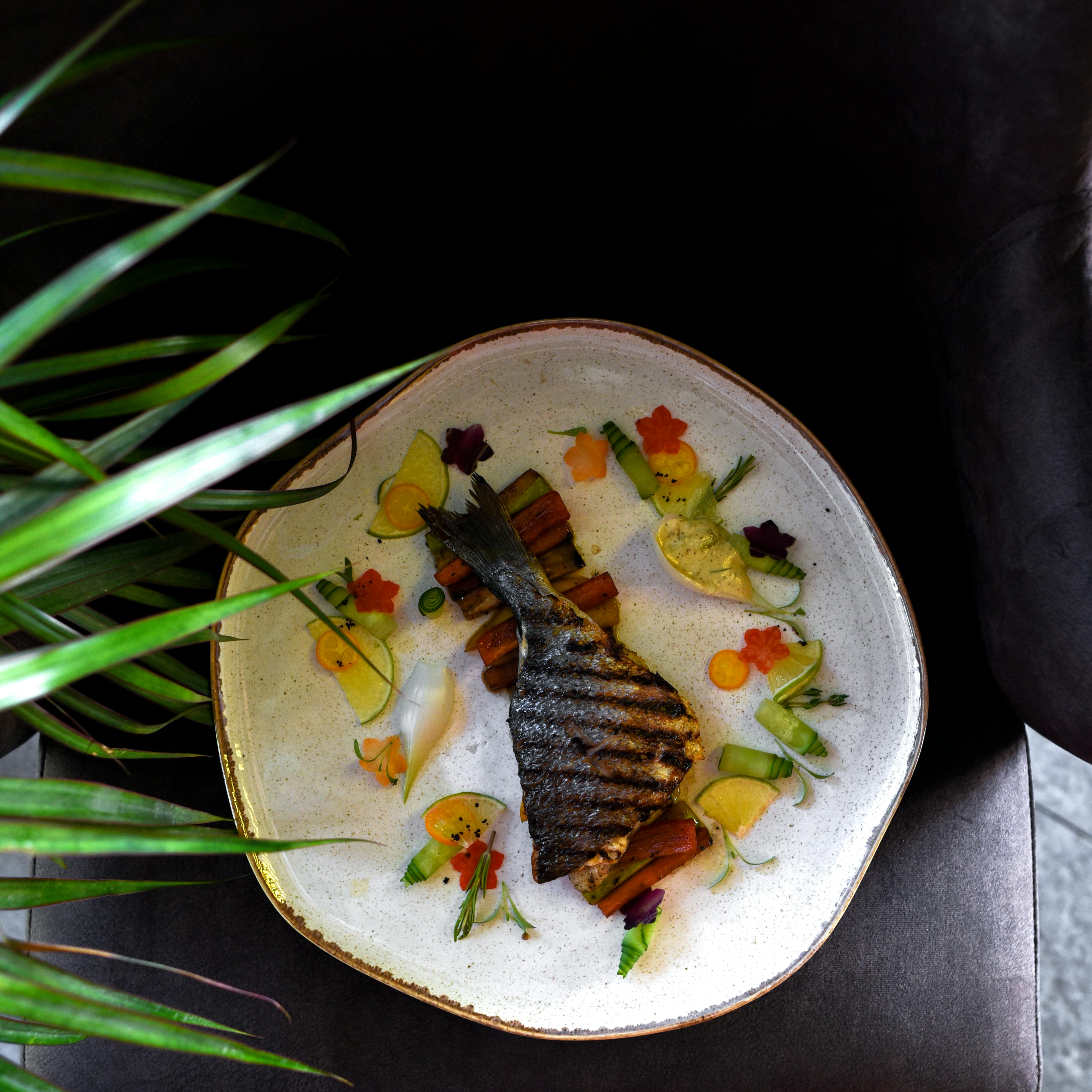 A Slice of Grilled Fish and Lime on a Square Ceramic Plate · Free Stock ...