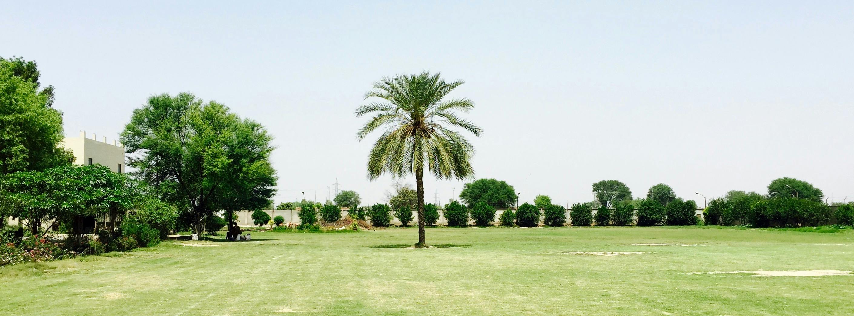 Zeeshan Sultan - Photography