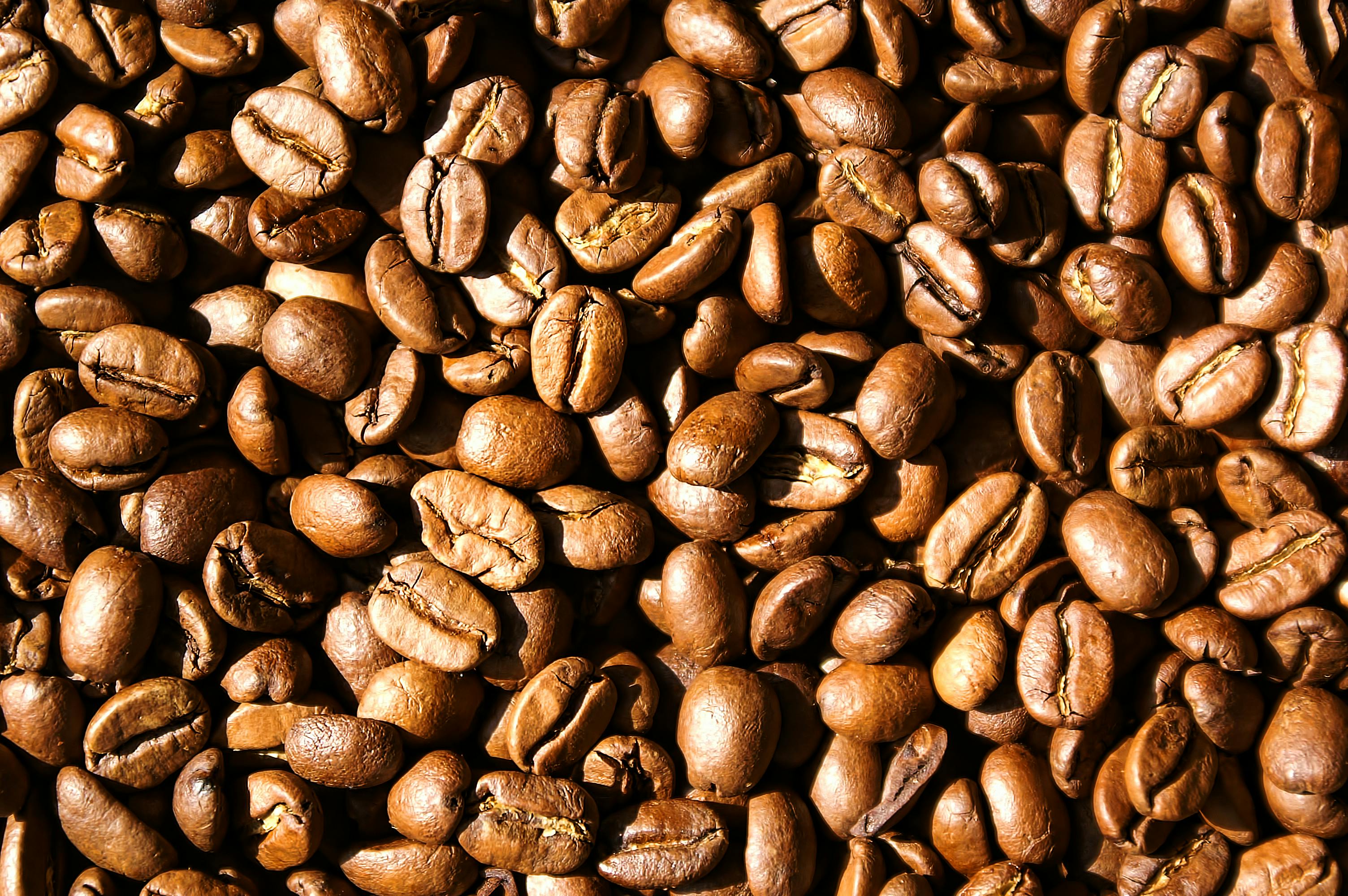 Coffee Beans · Free Stock Photo