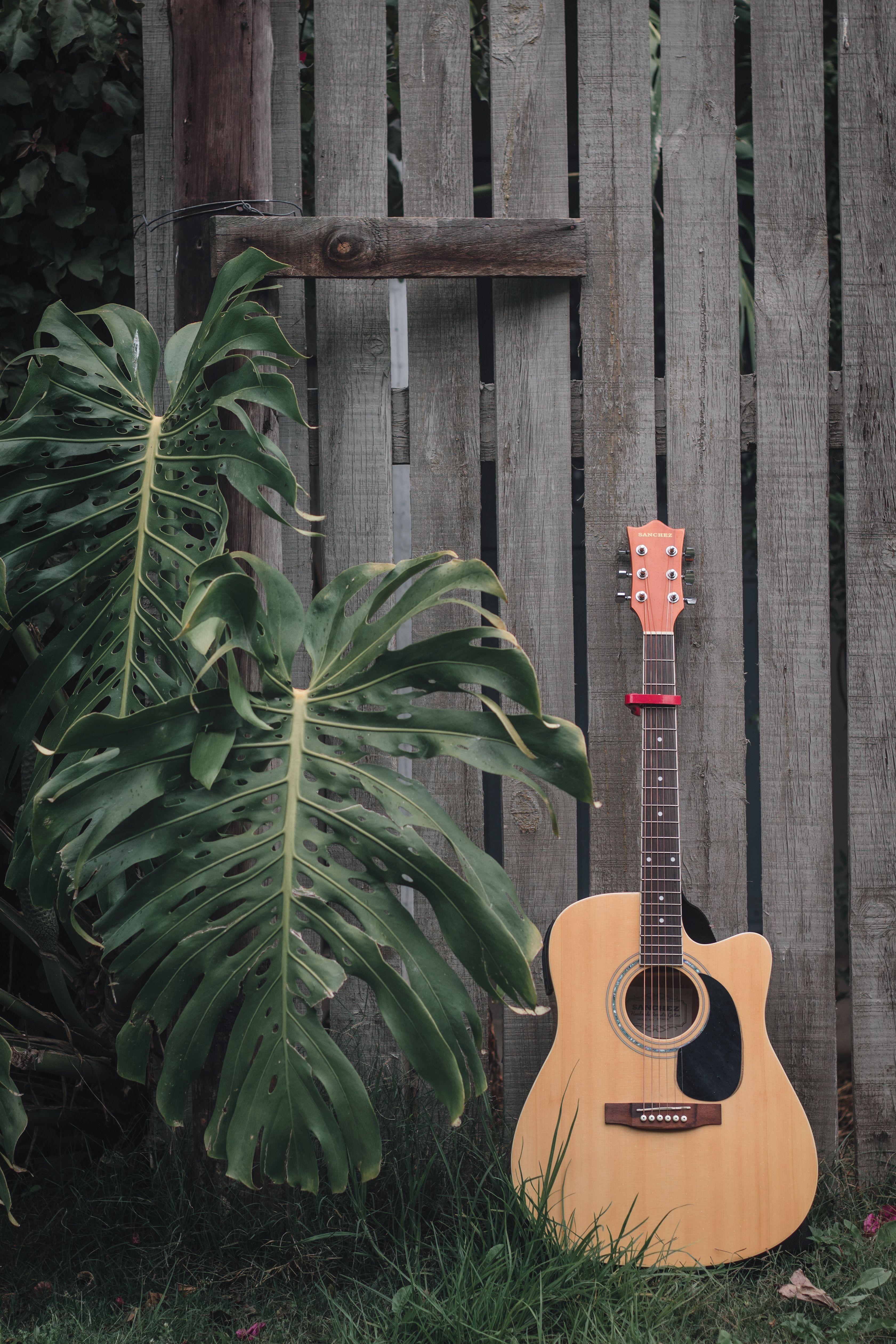 Steel strings of classical guitar in room · Free Stock Photo