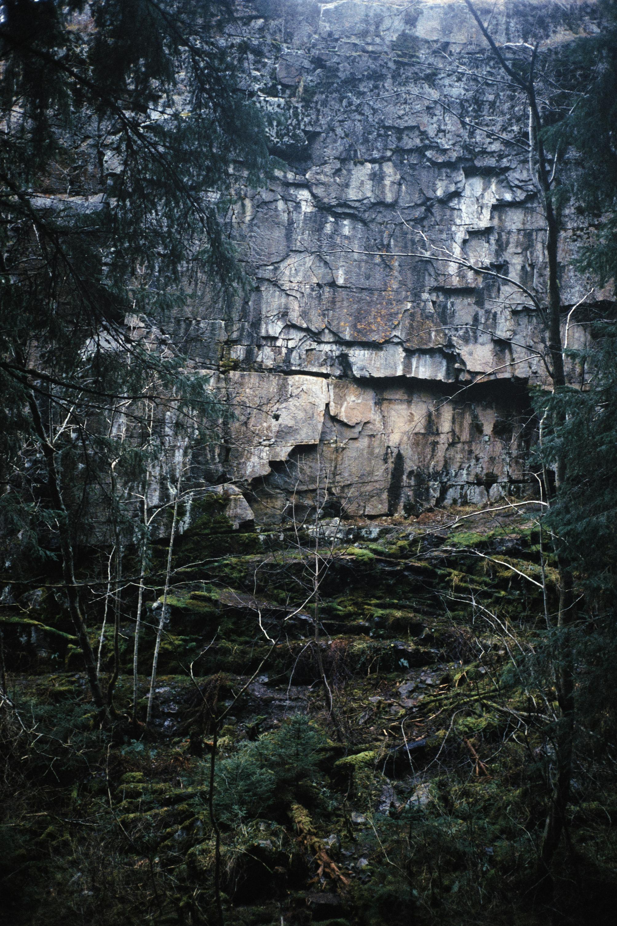 Photo of a Empty Train Tracks · Free Stock Photo
