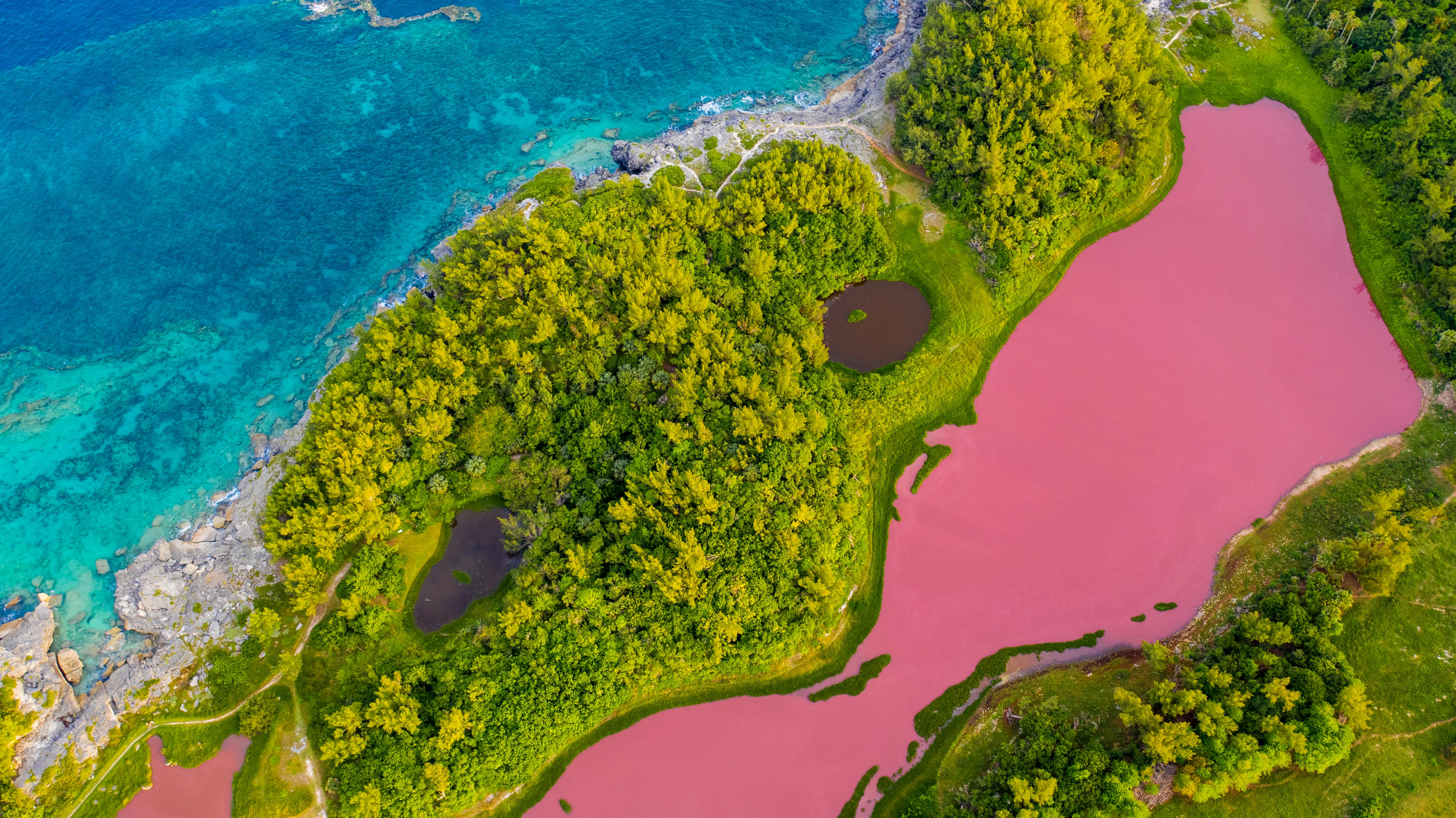 Foto profissional gratuita de @exterior, aerofotografia, água cor de ...