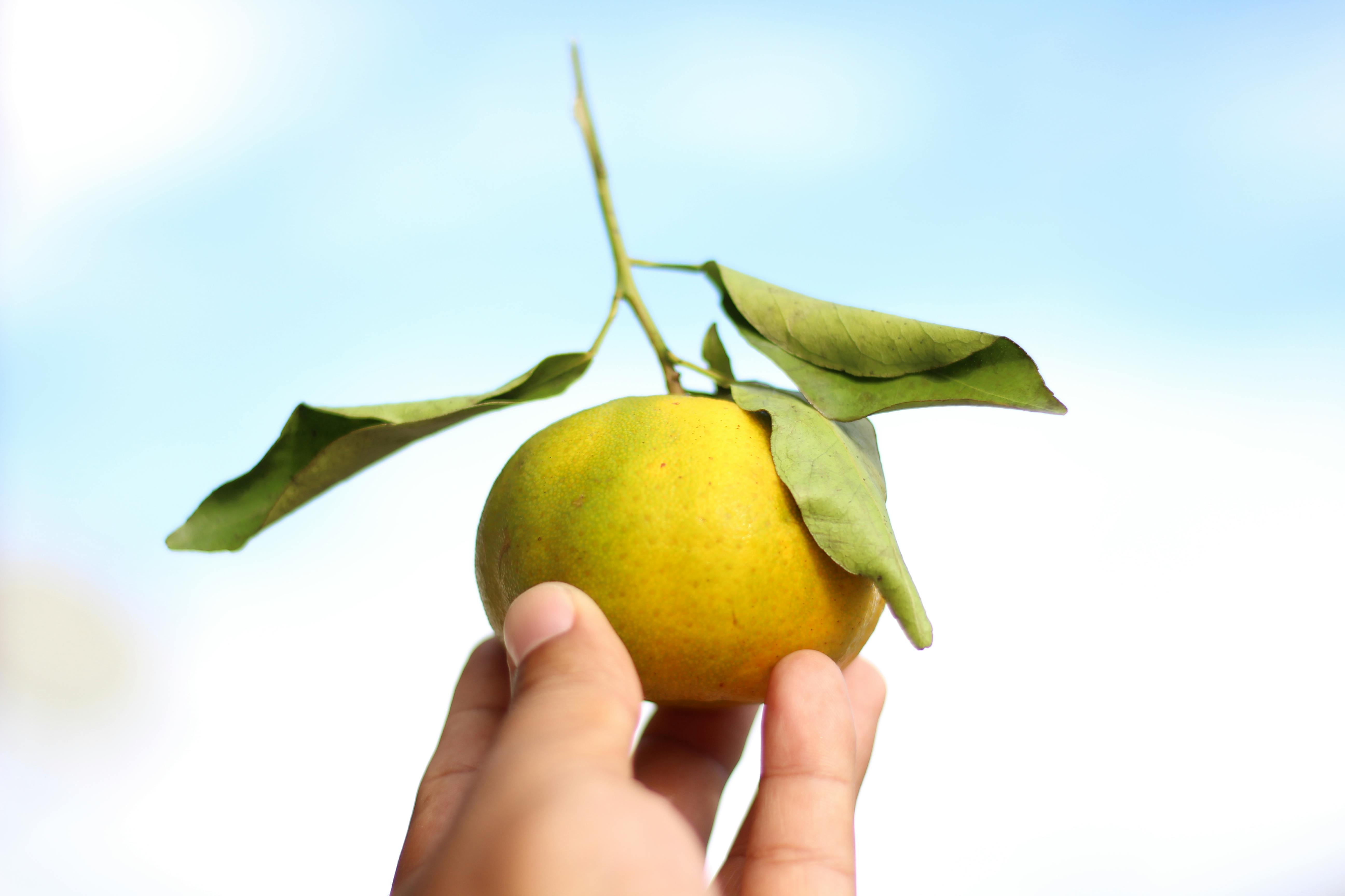 Pick Sky Background Photos, Download The BEST Free Pick Sky Background ...