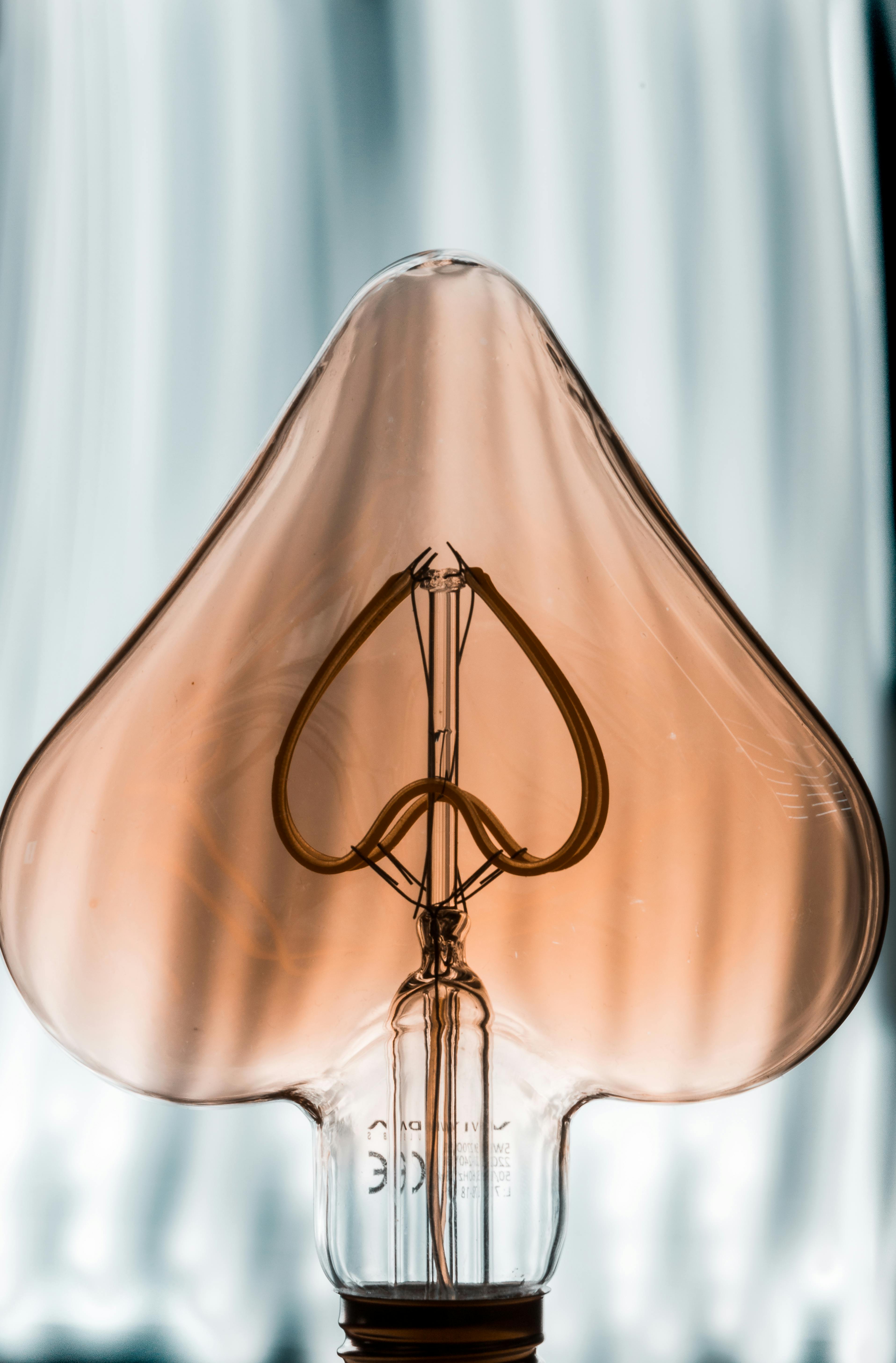 Macro Shot of Light Bulb · Free Stock Photo