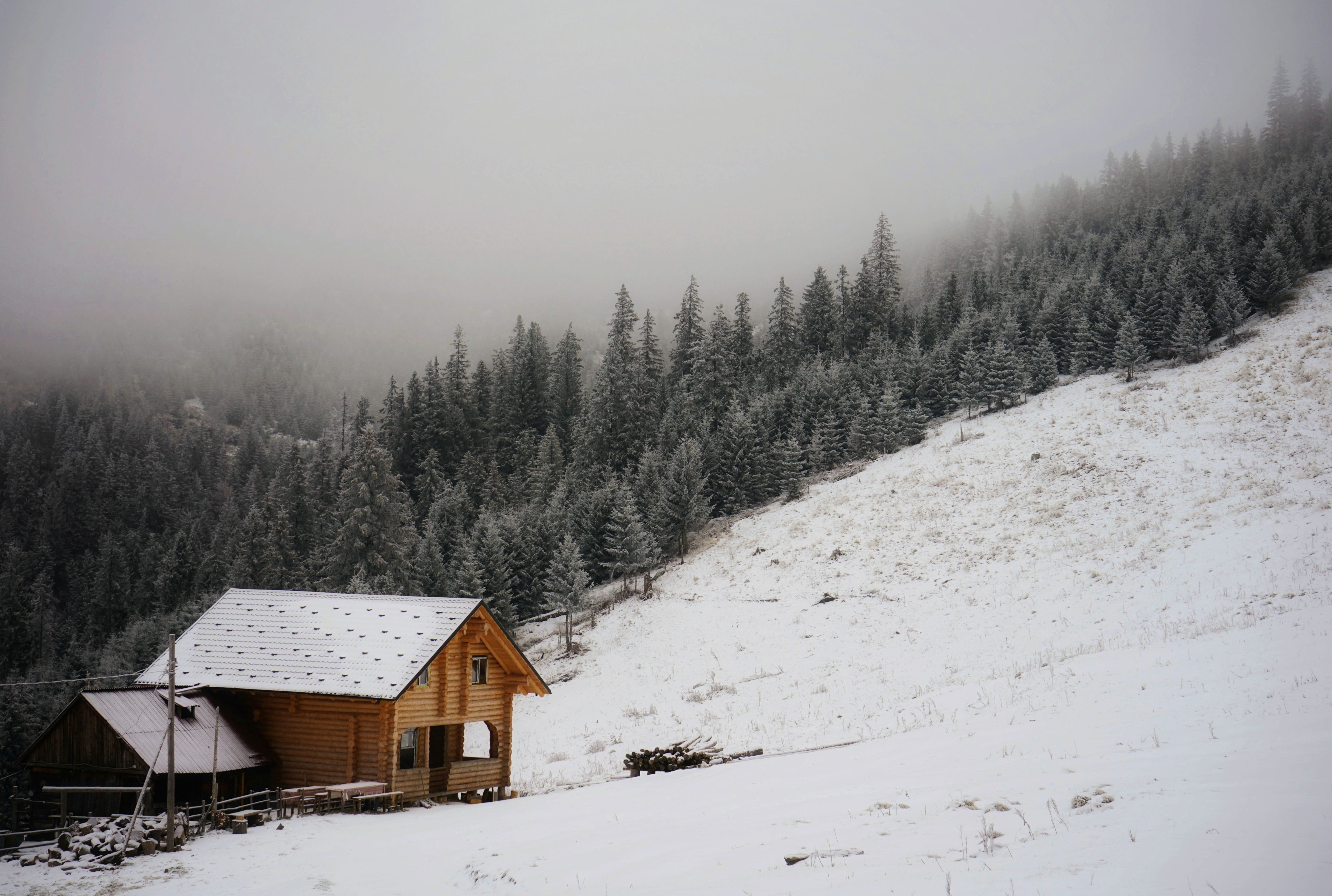 Brown Wooden House on Snow Covered Ground · Free Stock Photo
