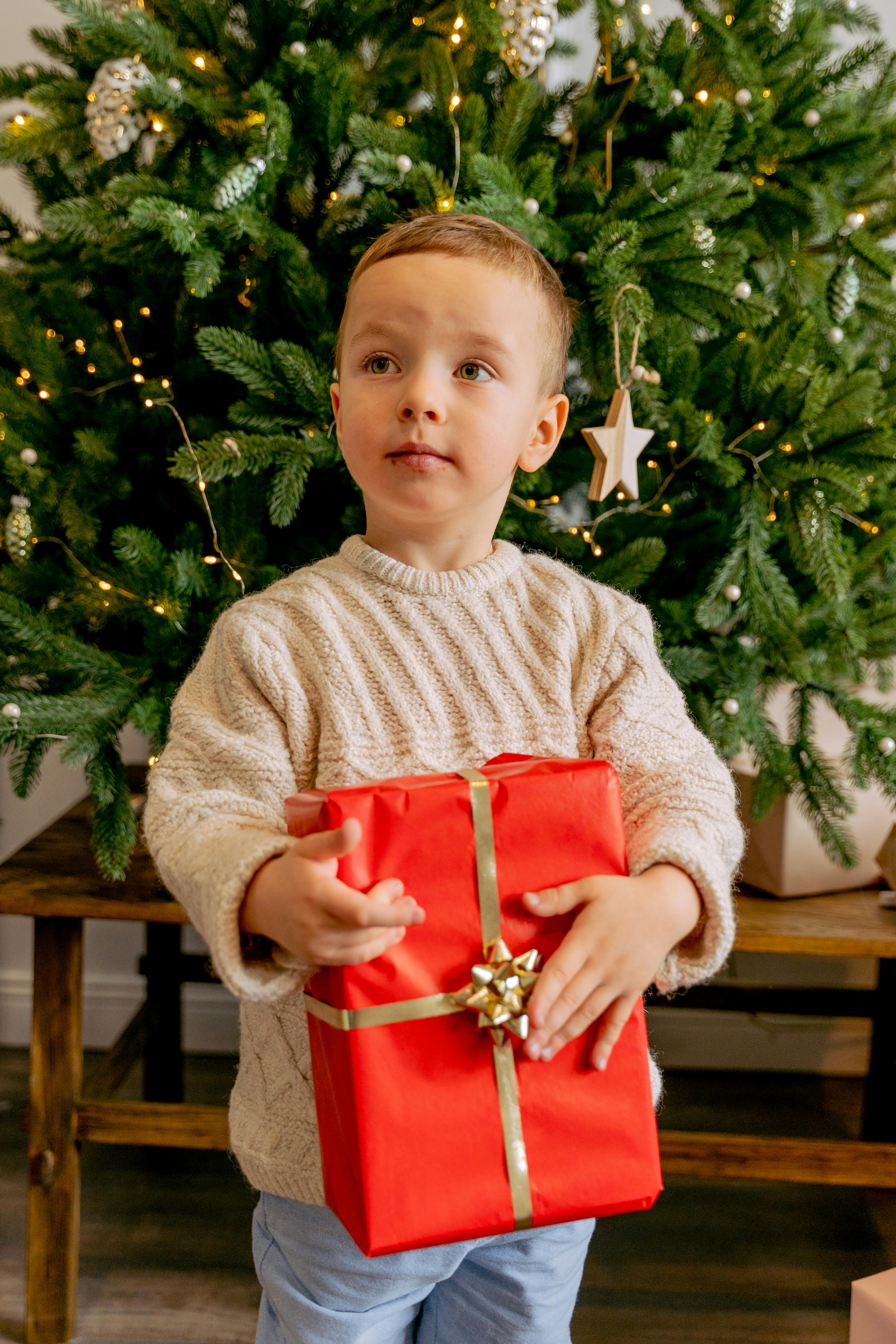 A Boy in Beige Sweater · Free Stock Photo
