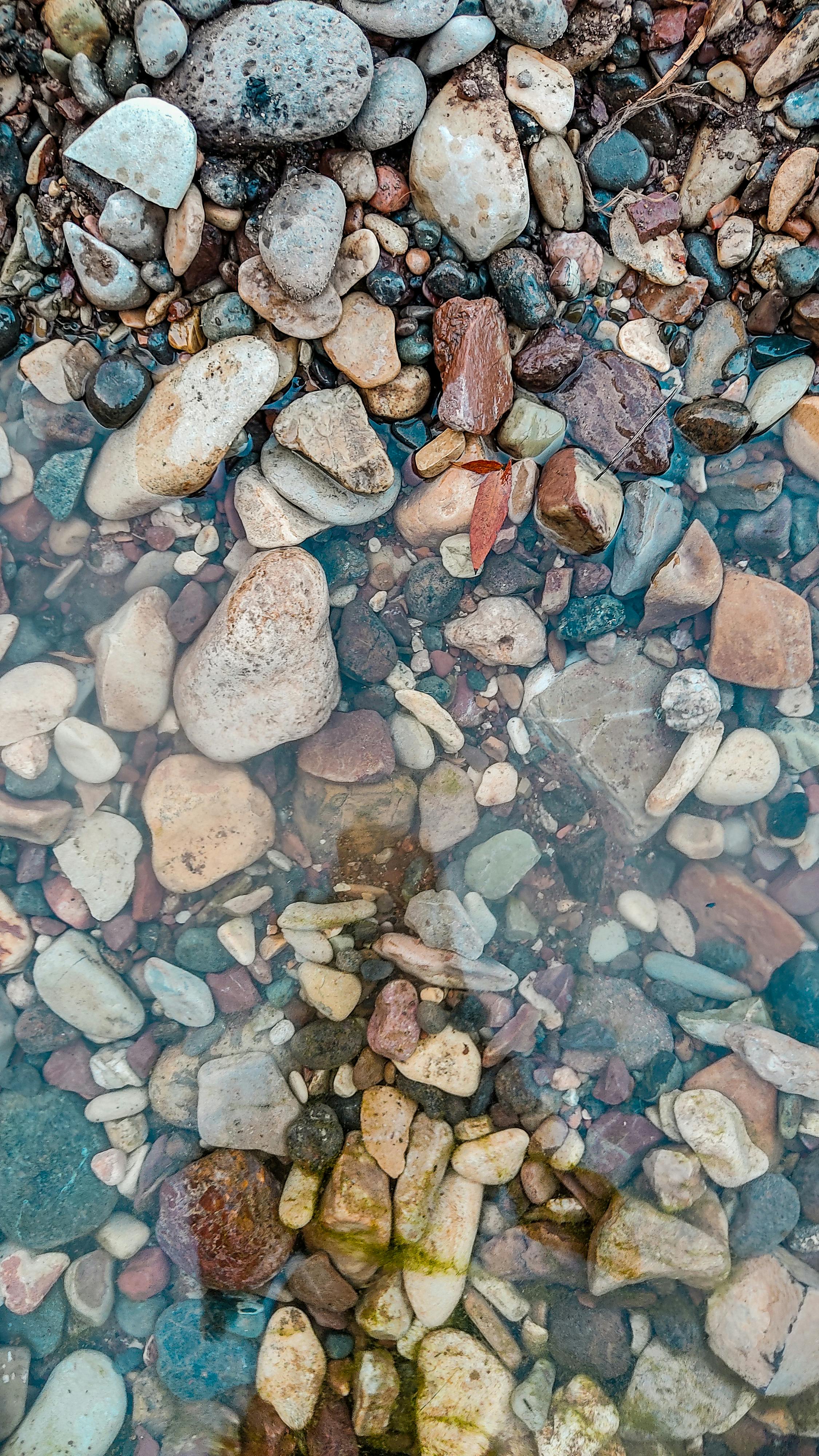 Abdullah Rasheed - 사진