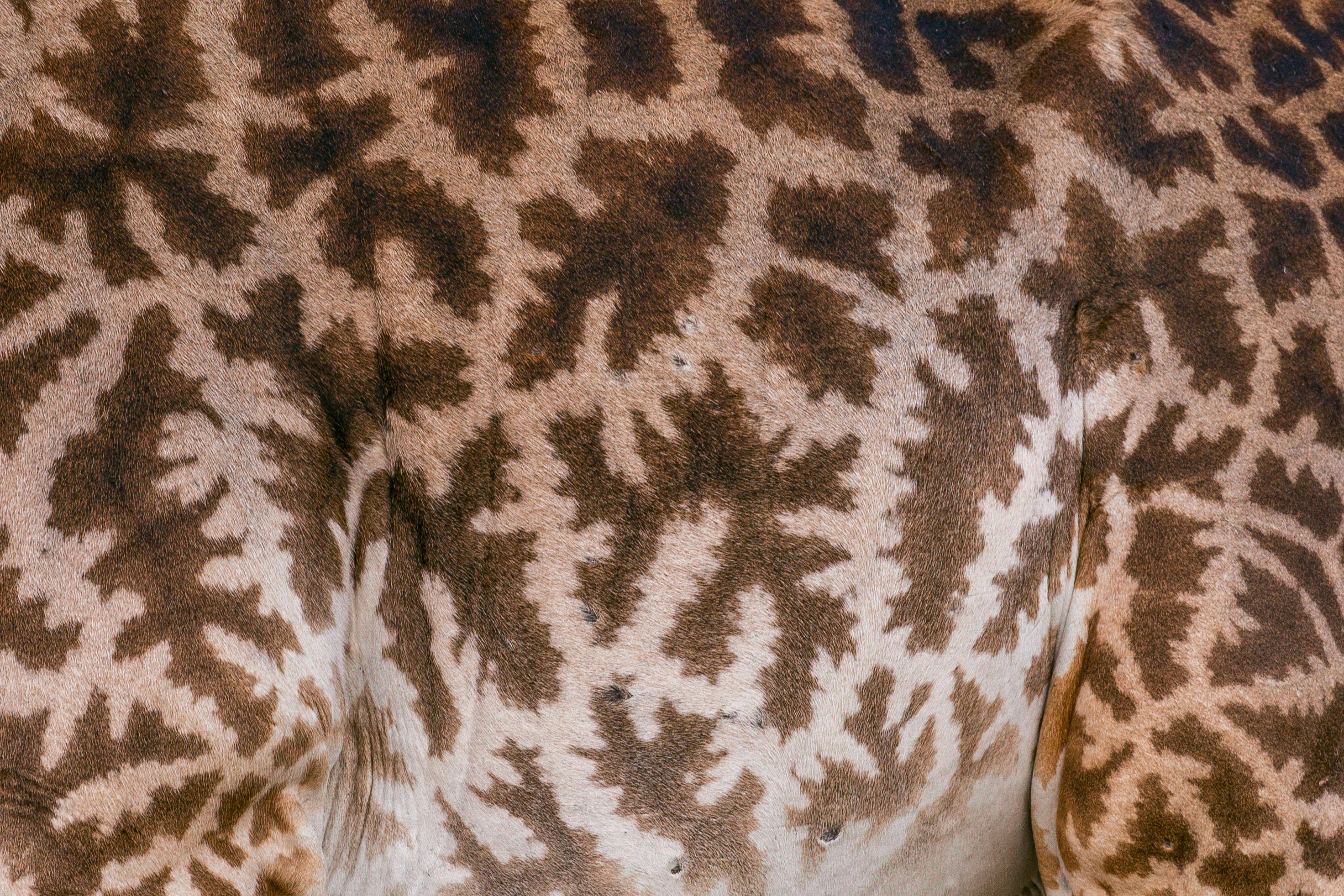 Fotografía En Primer Plano De Piel Rosa · Foto de stock gratuita