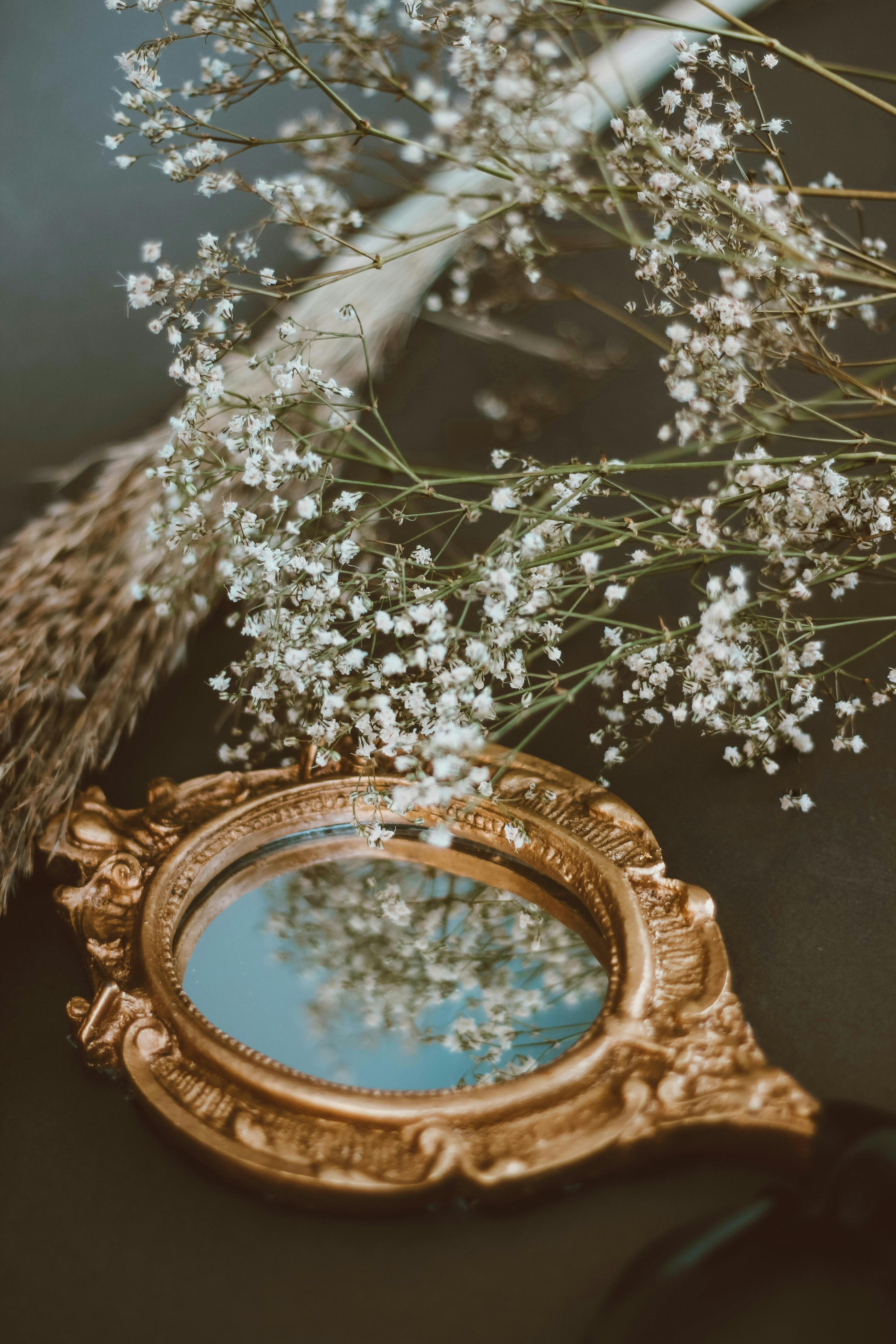 Angels Breath Flowers Reflection over a Mirror · Free Stock Photo