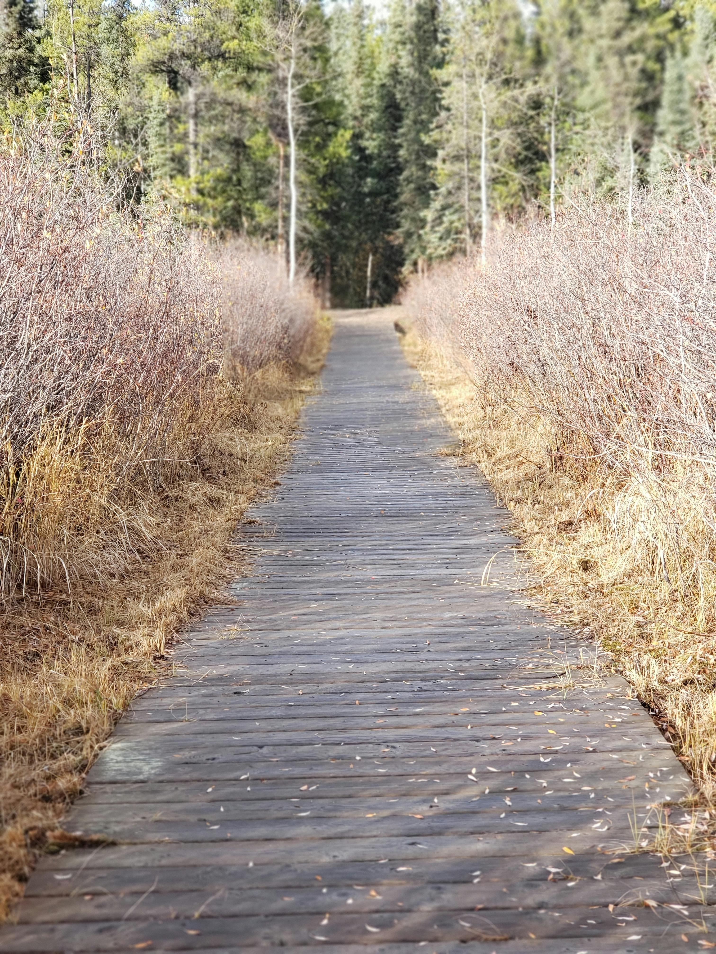 Matthew Poore - Fotografía